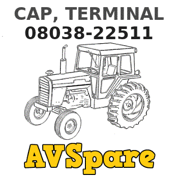 CAP, TERMINAL 08038-22511 - Deere | AVSpare.com