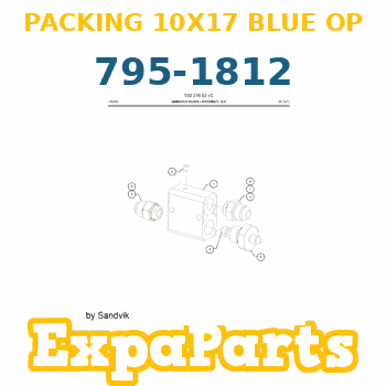 795-1812 Sandvik PACKING 10X17 BLUE OP