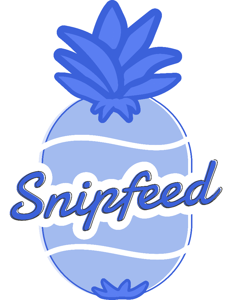 Snipfeed Launches One-Stop Platform for Personalized Content