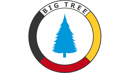 Big Tree Commences Ogoki Crown Forest Carbon Assessment