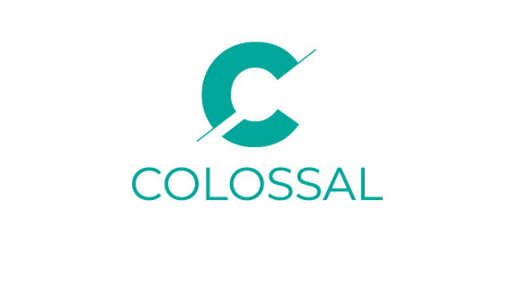 Tony Hawk Partners With Colossal Management for Competition Benefitting ...