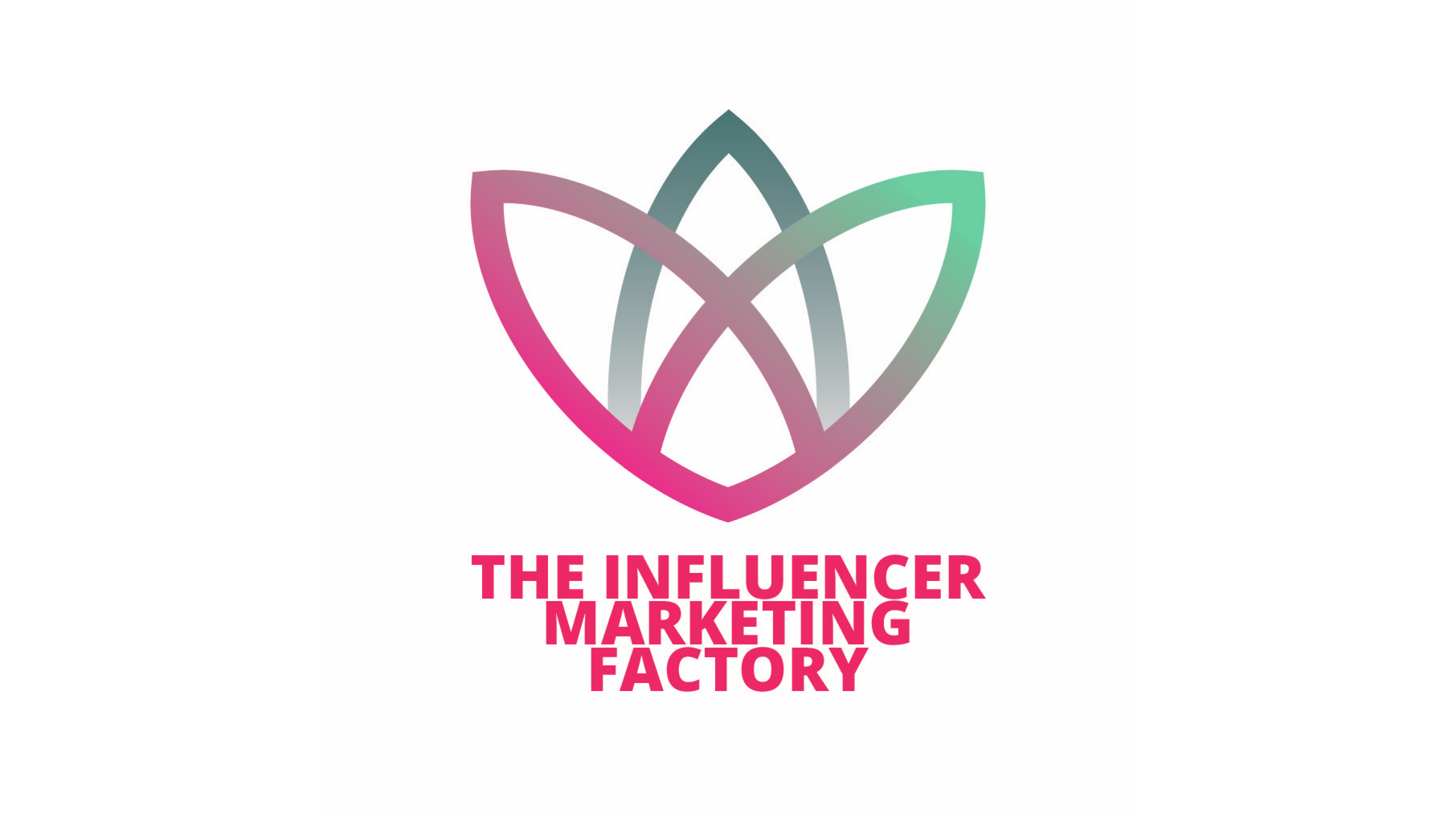 TikTok Star Carter Kench Returns to VidCon as a Featured Creator