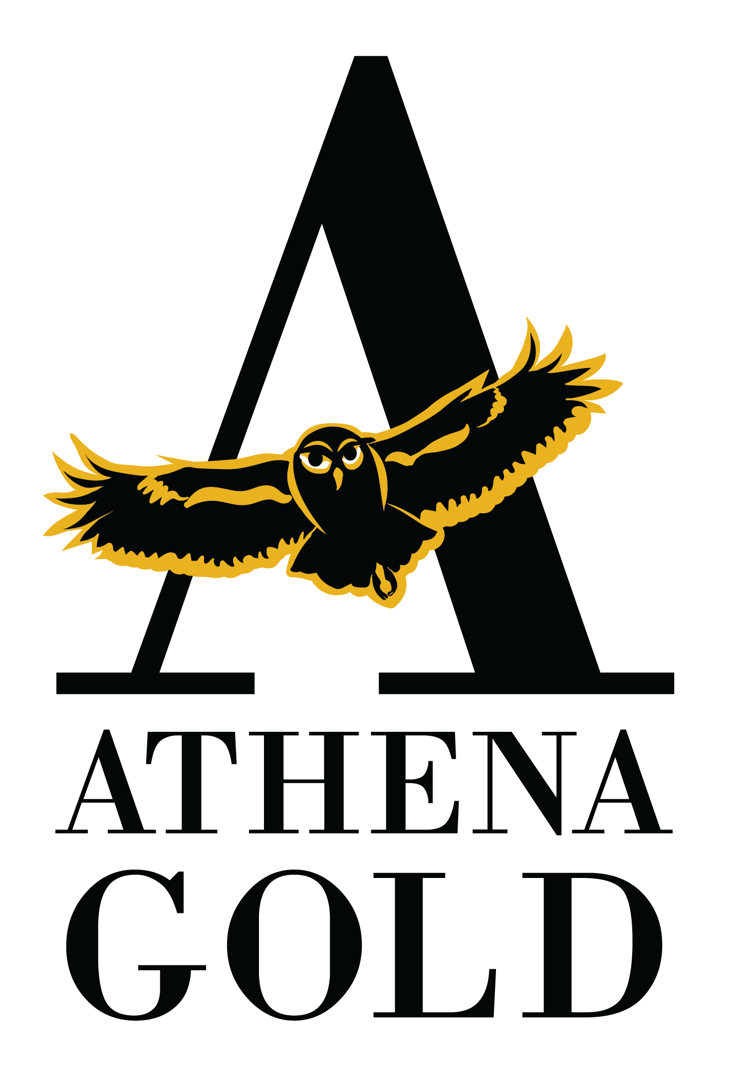 Athena Gold Secures Contractor for Drilling at Excelsior Springs Gold ...