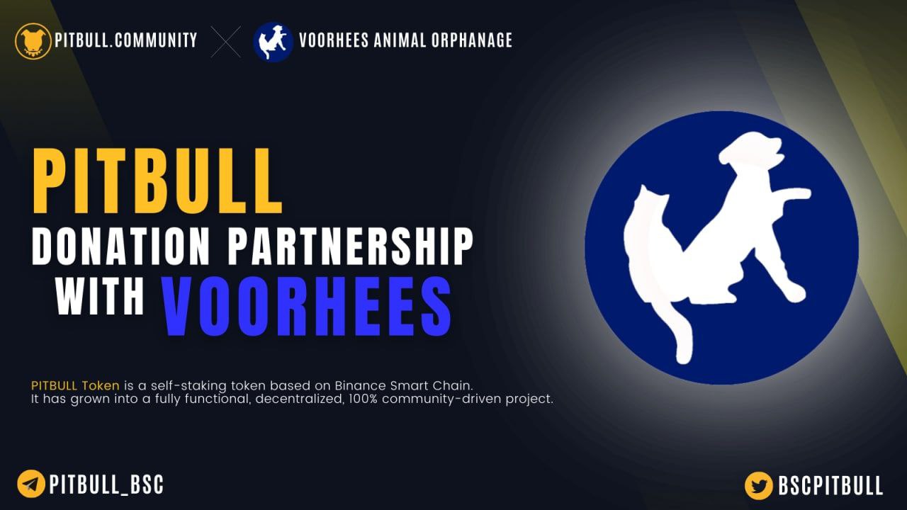 Pitbull Token’s First Steps to Make a Difference: A Major Donation ...