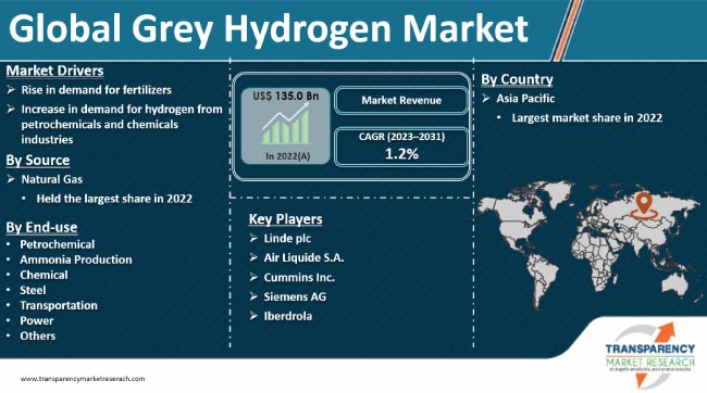 Grey Hydrogen Market Size to Reach US$ 150.3 Bn by End of 2031 ...