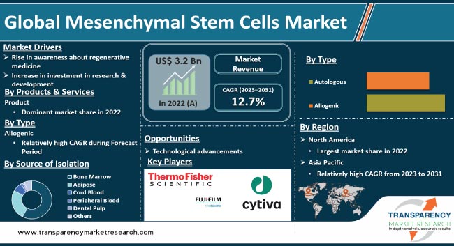 Mesenchymal Stem Cells Market to Reach USD 10.1 Bn by 2031 | TMR Study