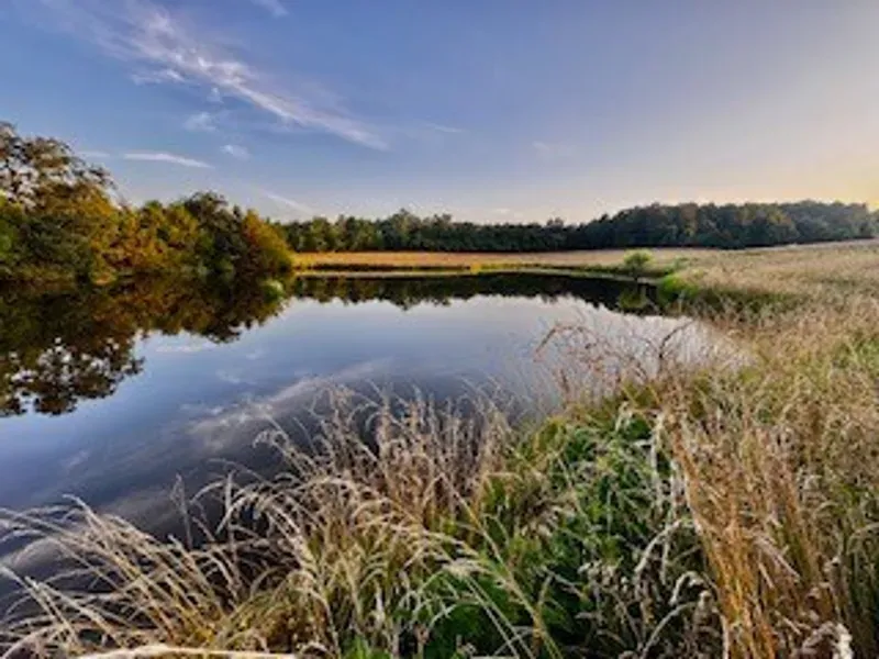 22.5 acres in Newton County, AR | Acres