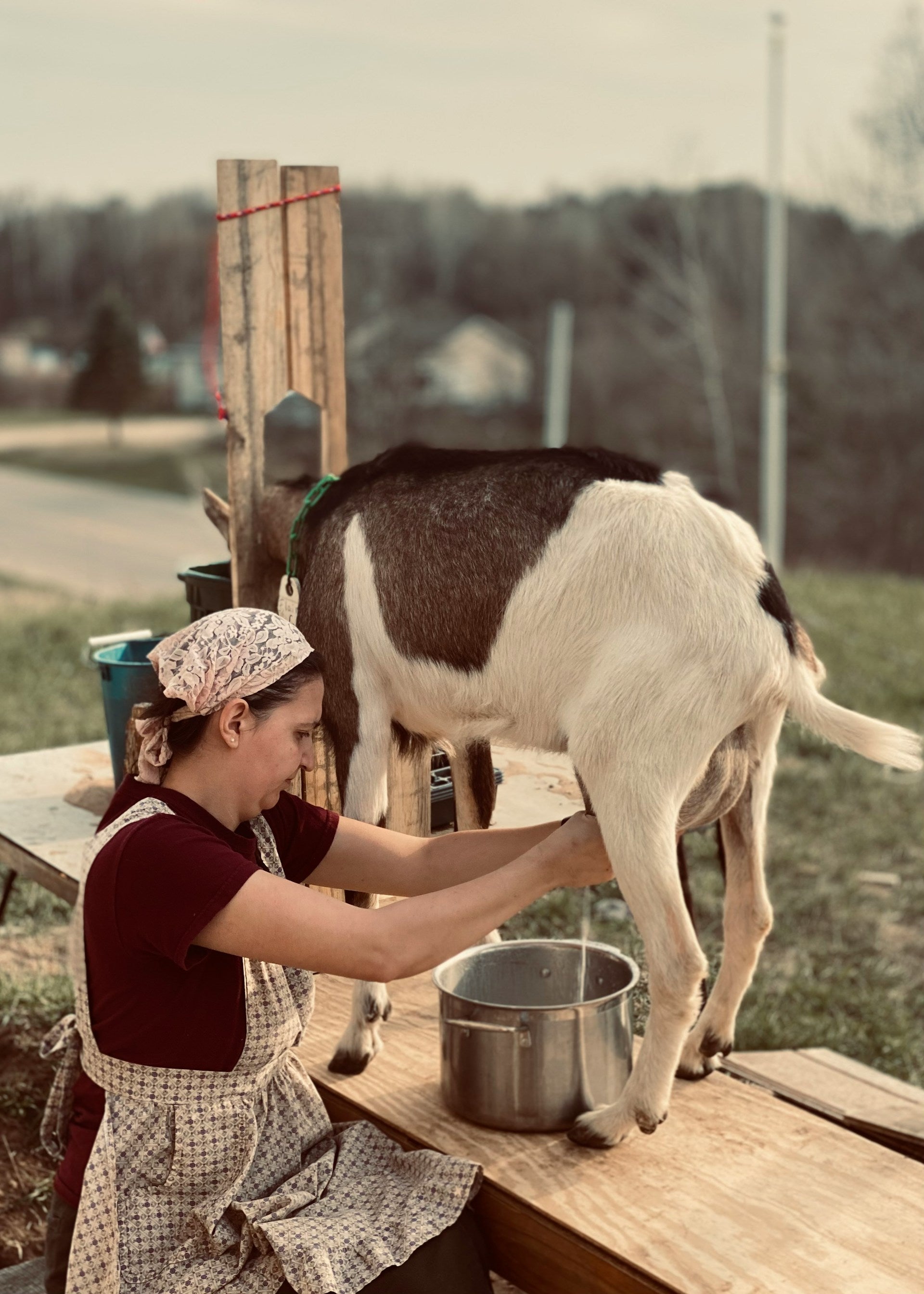 How Long Does Goat Milk Last In The Fridge? | Fridge.com