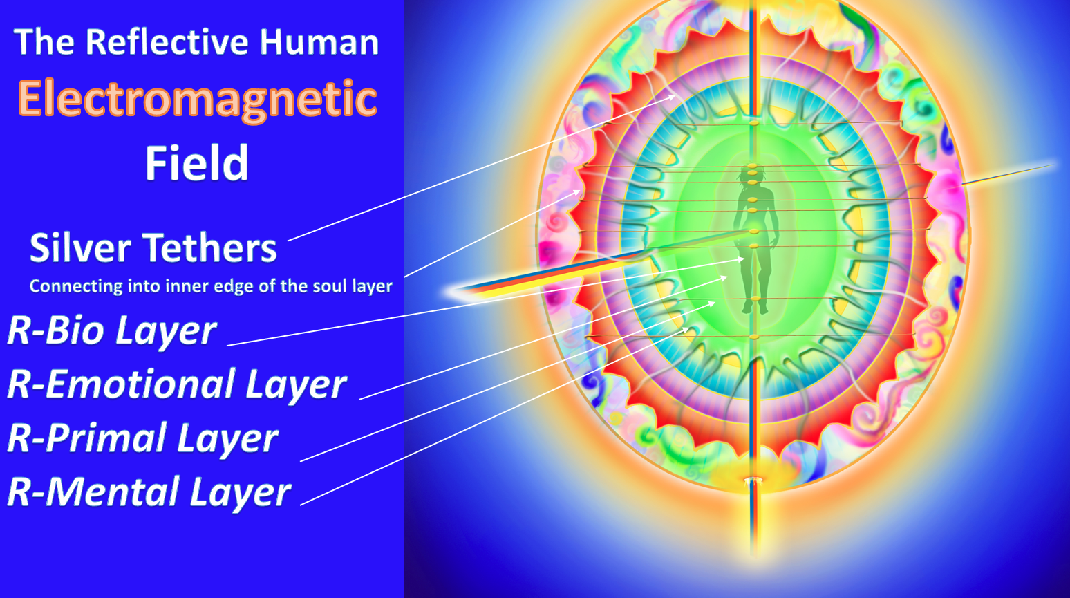 SA Medicine Bag -Training - Module 10 - Tribe Sacred Anatomy