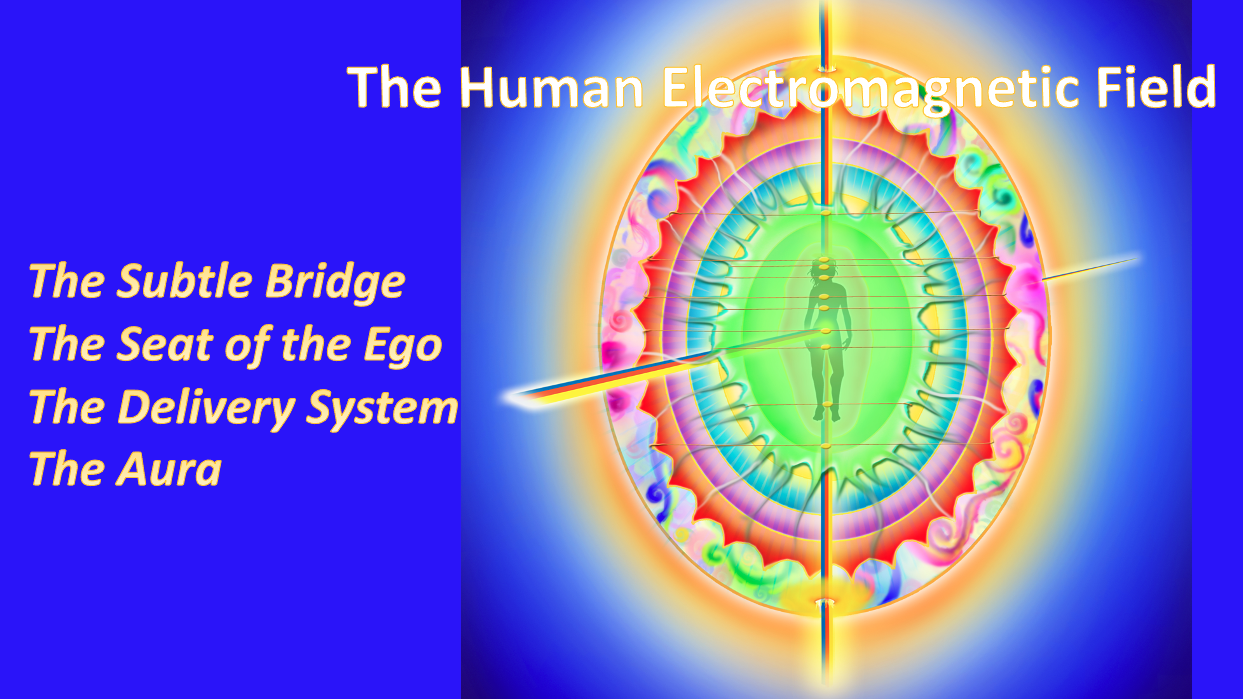 SA Medicine Bag -Training - Module 6 - Tribe Sacred Anatomy