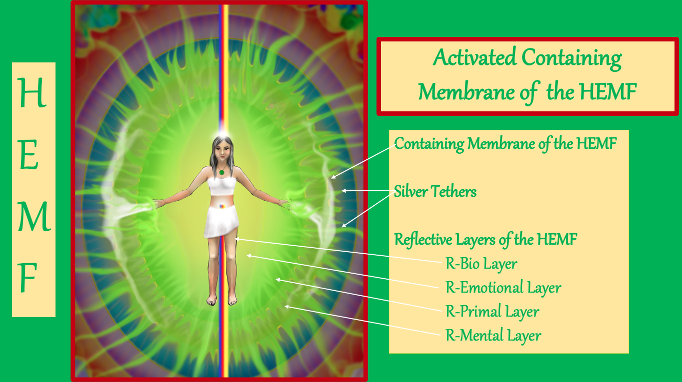 SA Medicine Bag -Training - Module 8 - Tribe Sacred Anatomy