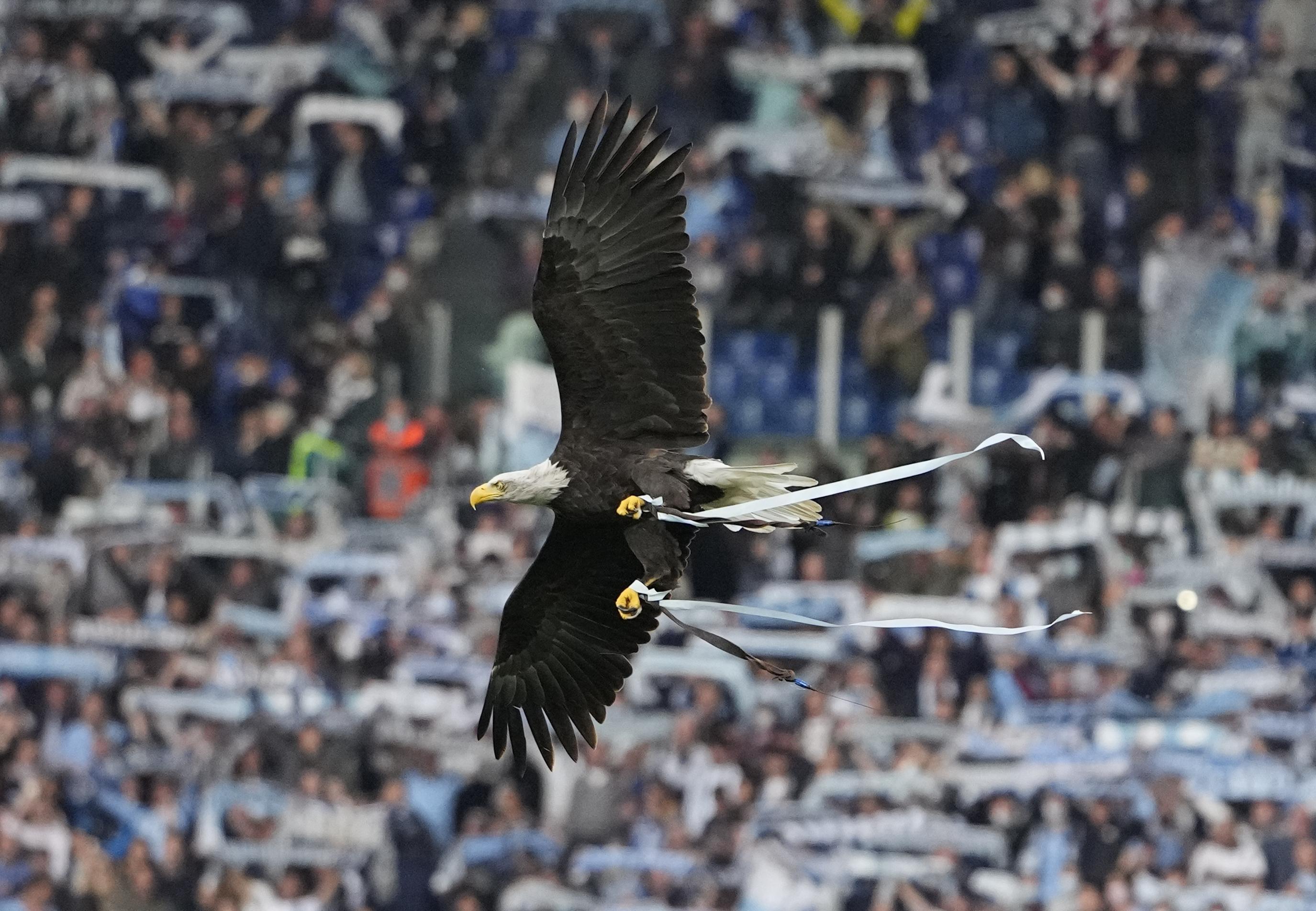 Lazio suspends eagle trainer after fascist salute at stadium | AP News