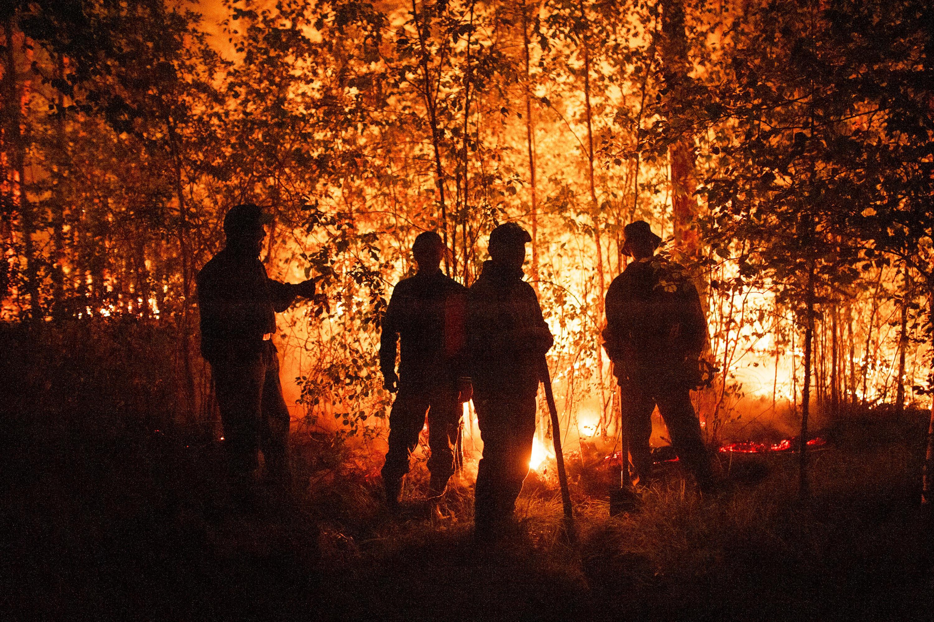 Onu Los Incendios Forestales Se Agravan En Todo El Mundo Ap News