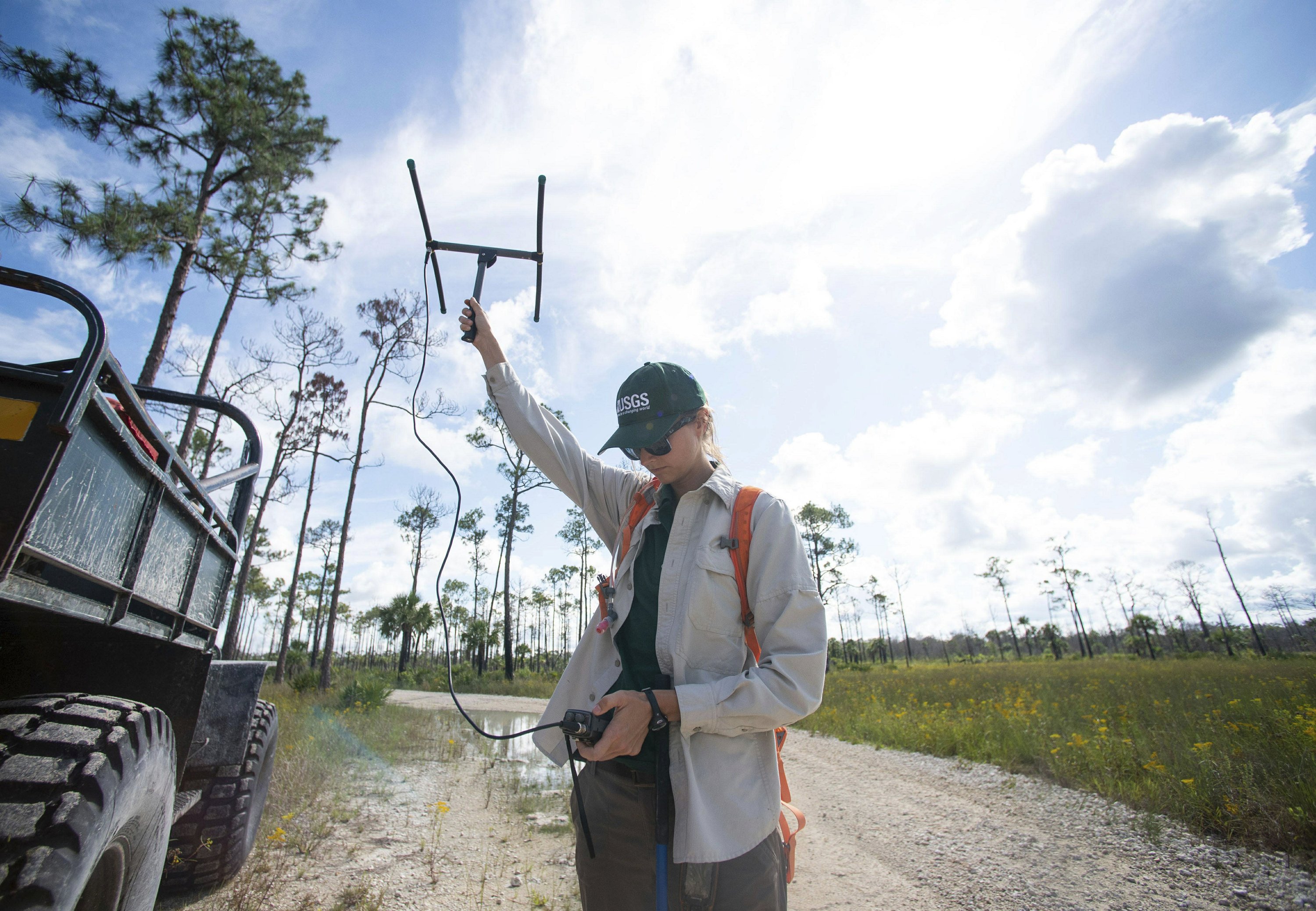 Program shows promise of removing pythons from Everglades | AP News