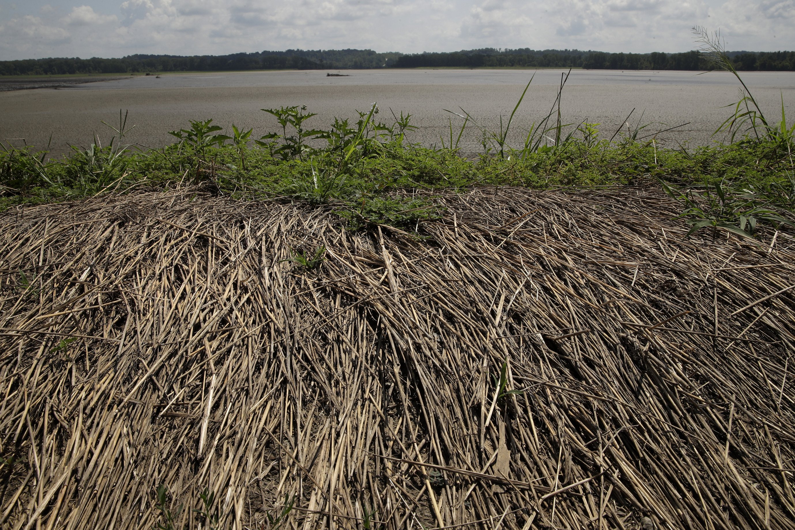 AP: States brace for long-term flood fight as damages mount | AP News