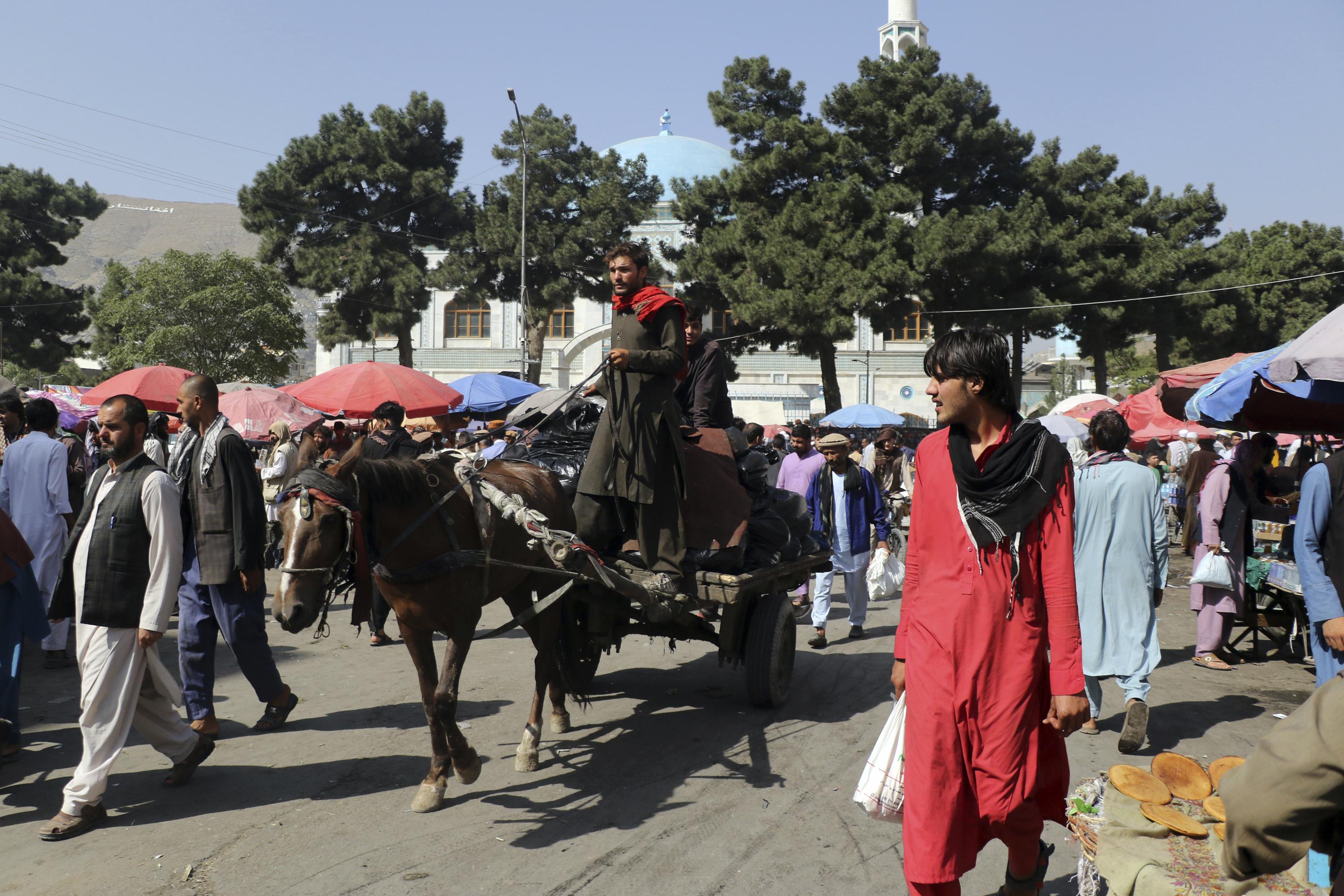 UN envoy: World must prevent Afghanistan economic collapse | AP News