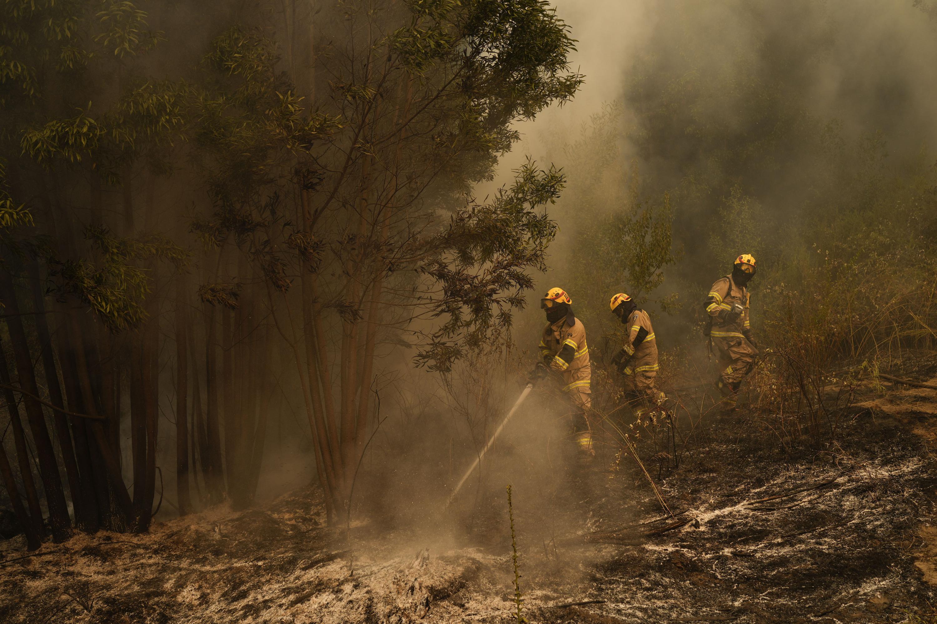 Chile continúa esfuerzos para sofocar incendios forestales | AP News