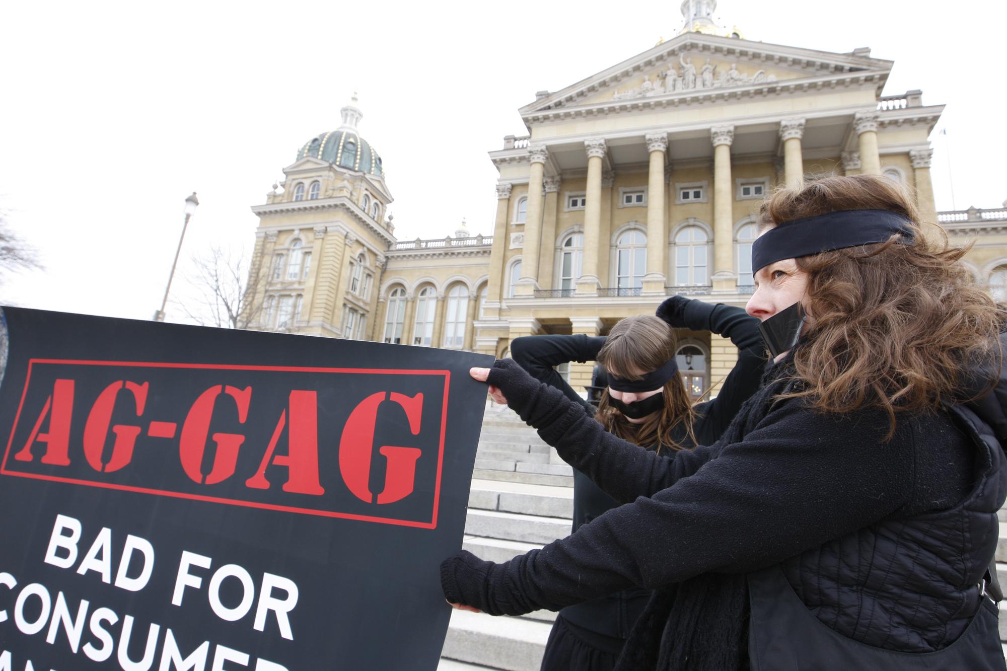 Federal court finds 3rd Iowa ag-gag law unconstitutional | AP News