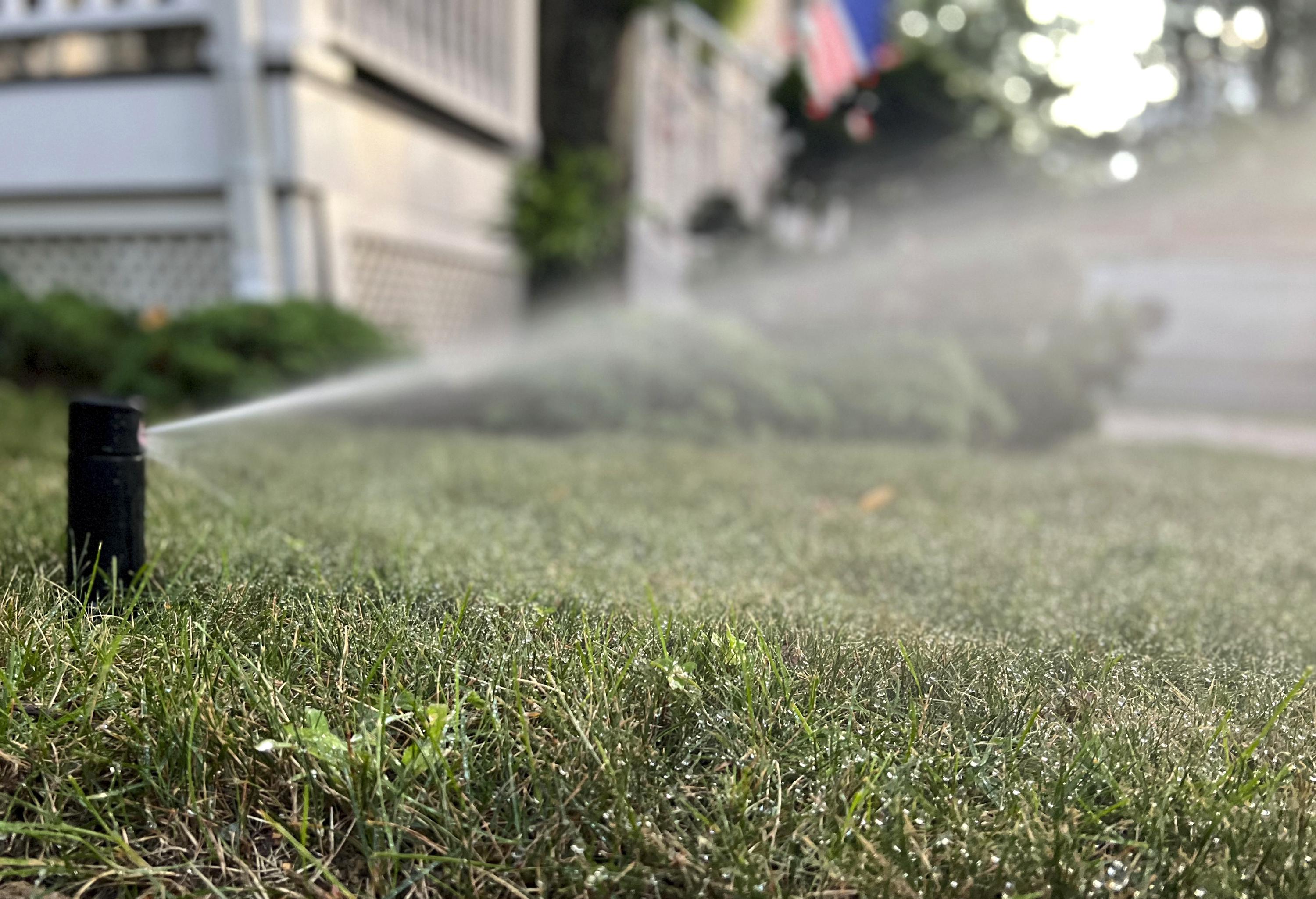 These are dry, stressful days for lawns. Some tips to help. | AP News