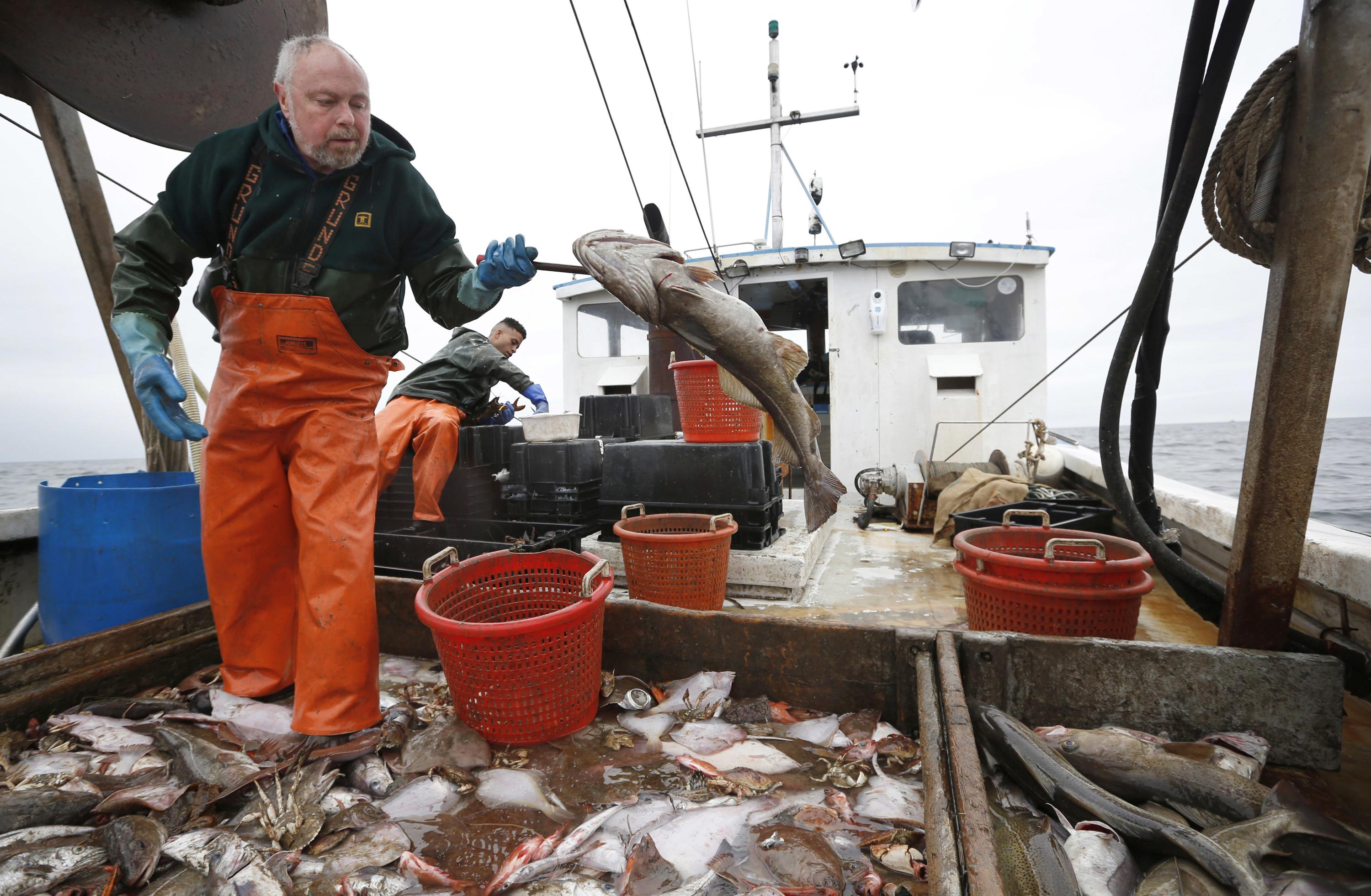 Feds boost New England fishing monitoring coverage to 100% | AP News