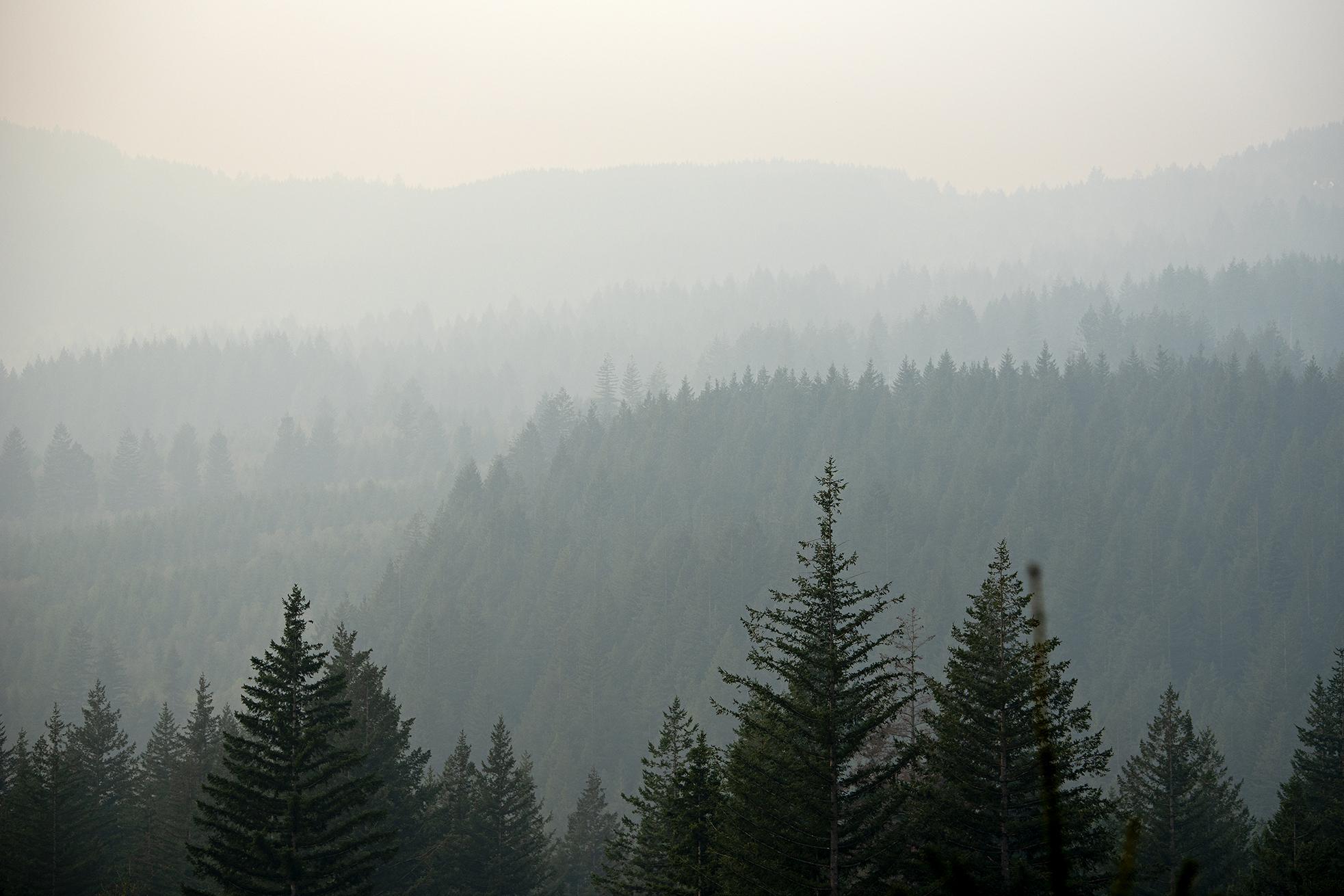 Thick smoke in western Washington and Oregon to soon clear | AP News