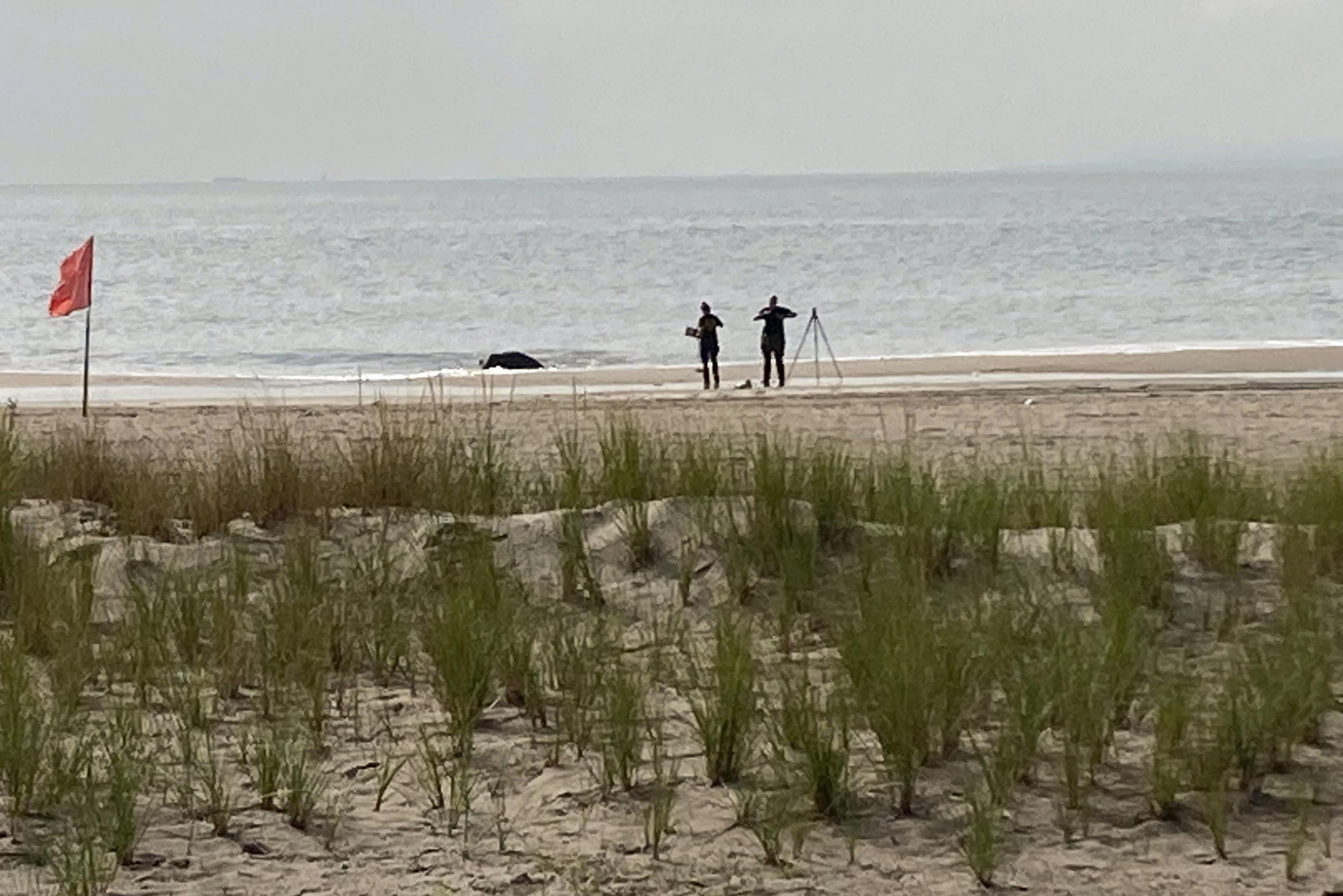 Police believe 3 children drowned by mother at NYC beach | AP News