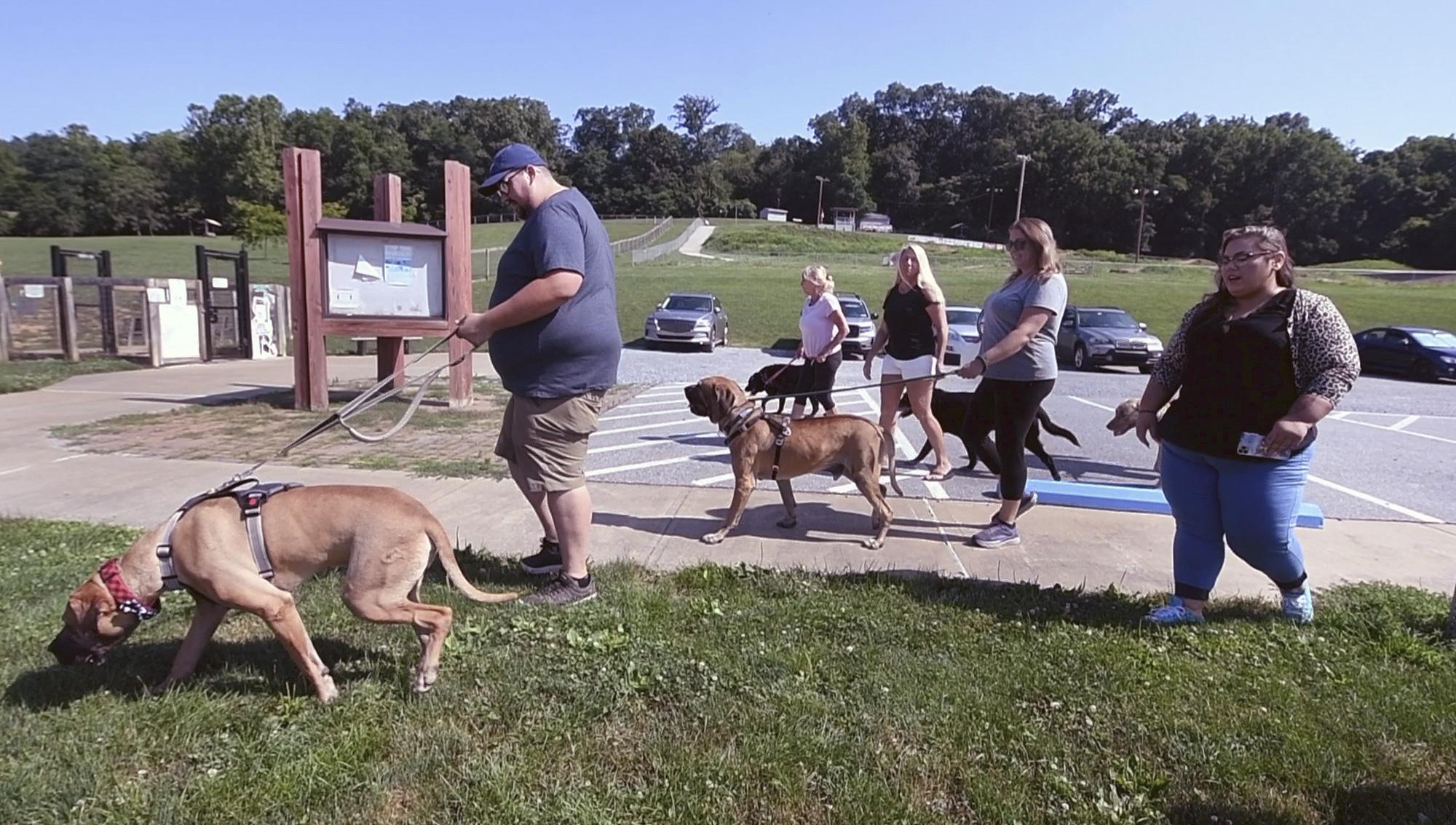 Dogs intended as dinner now have loving Pennsylvania homes | AP News