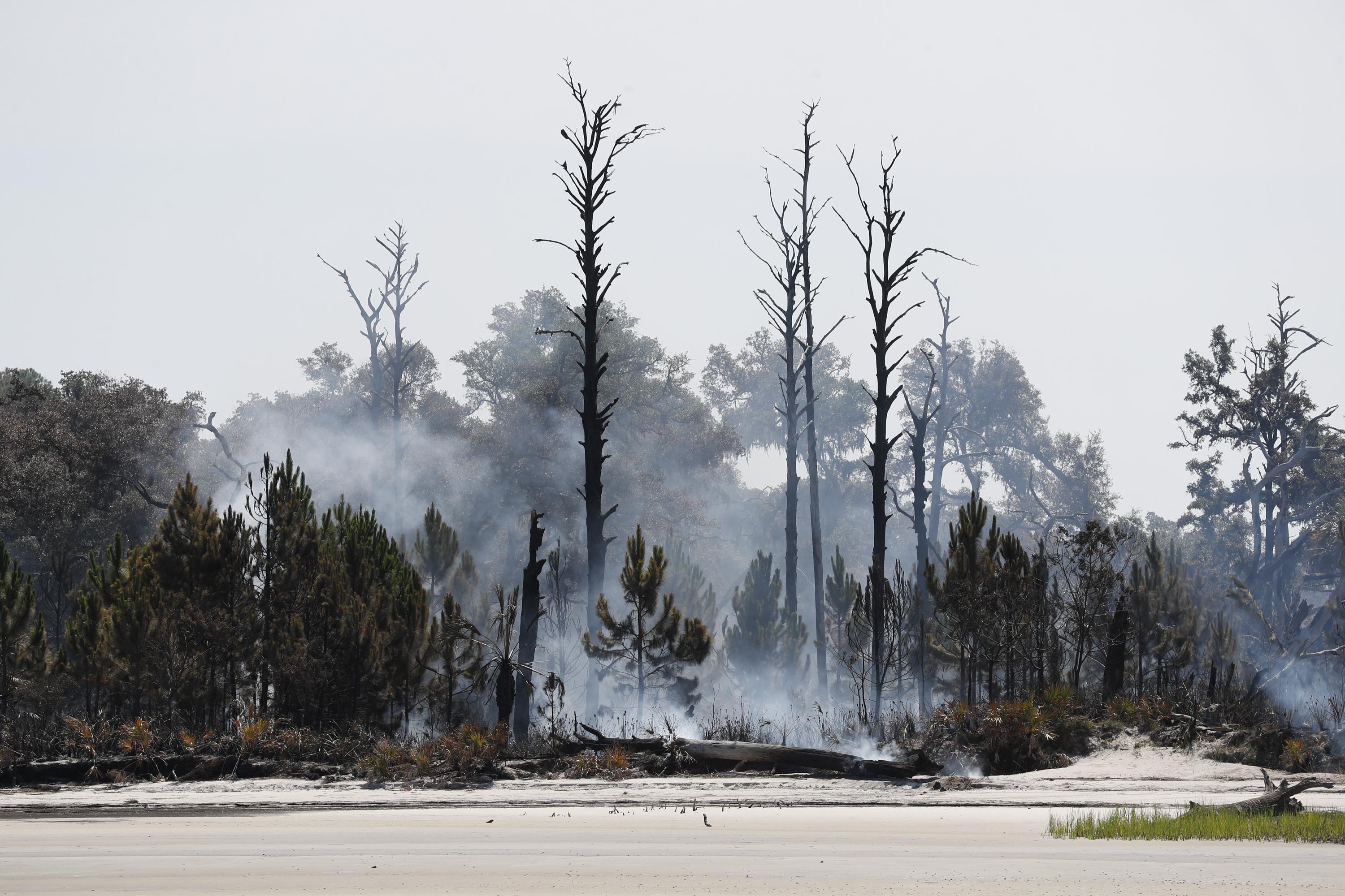 Wildfire threatens unspoiled Georgia island rich in history | AP News