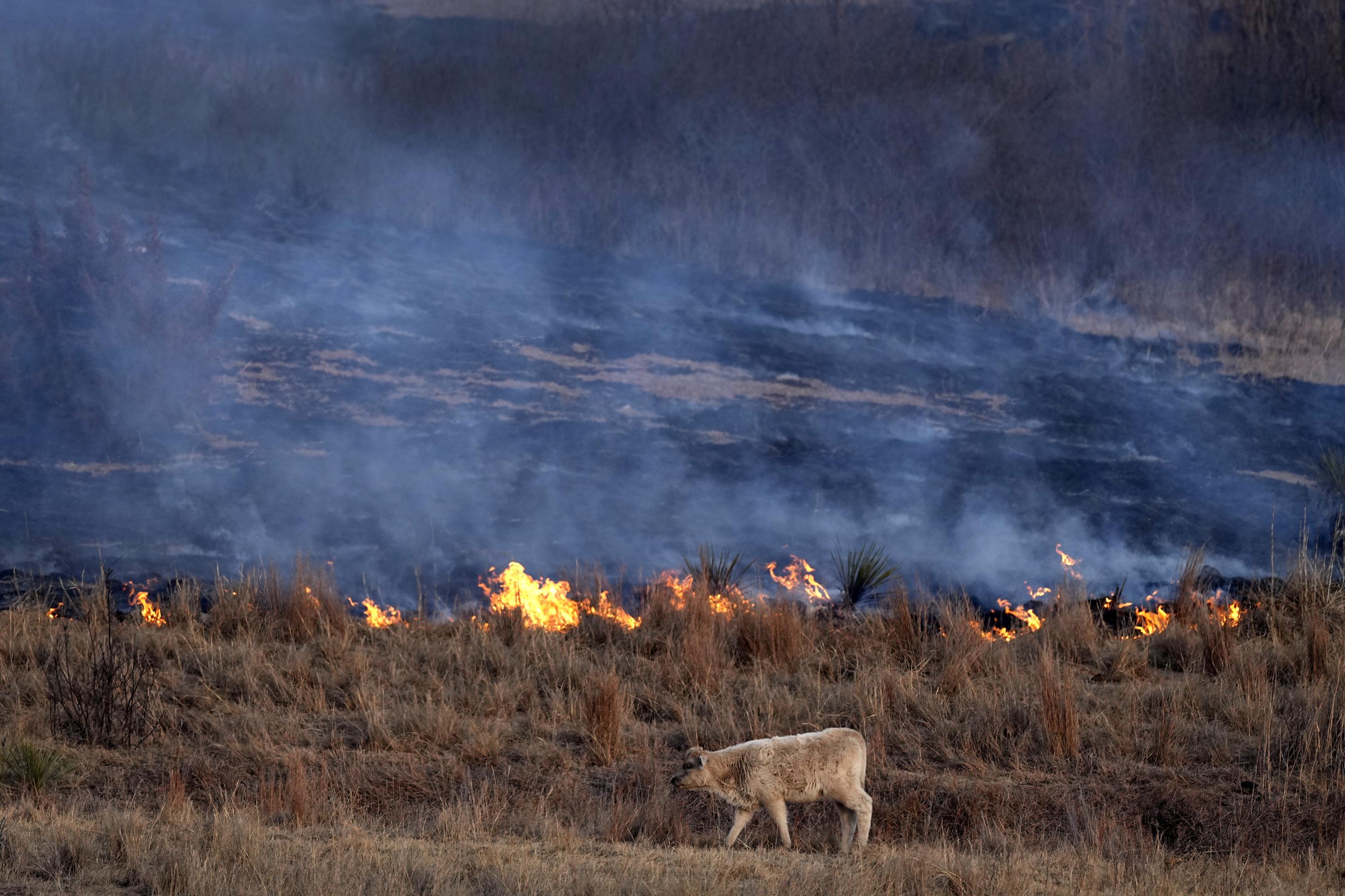 Fires remain a concern across Kansas after strong wind storm | AP News