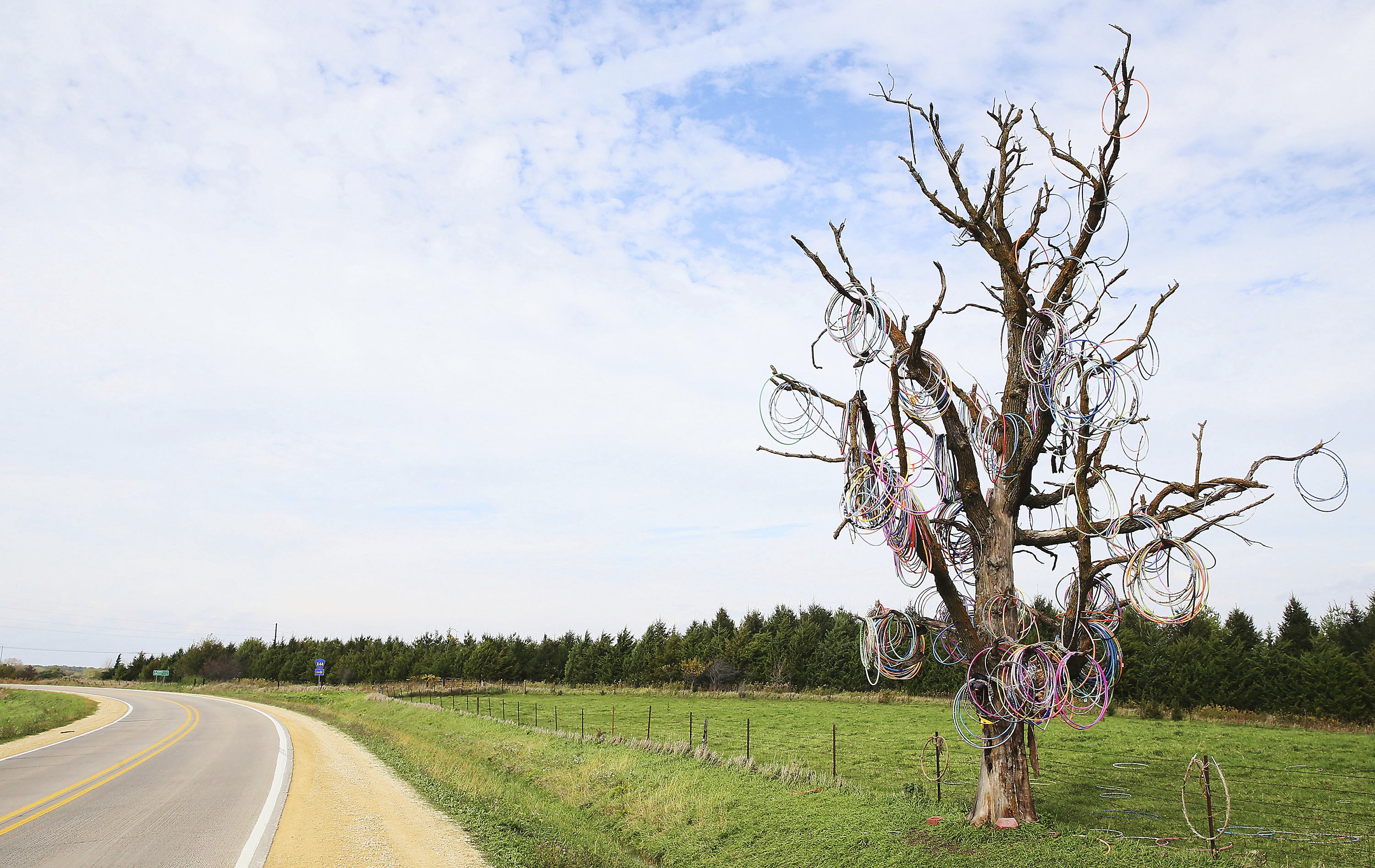 Board to discuss liability concerns about Hula Hoop Tree | AP News