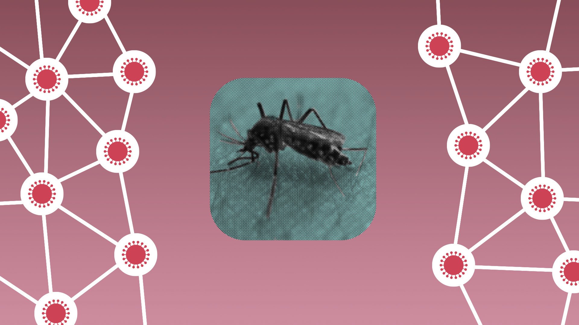 Can mosquitoes spread the coronavirus?