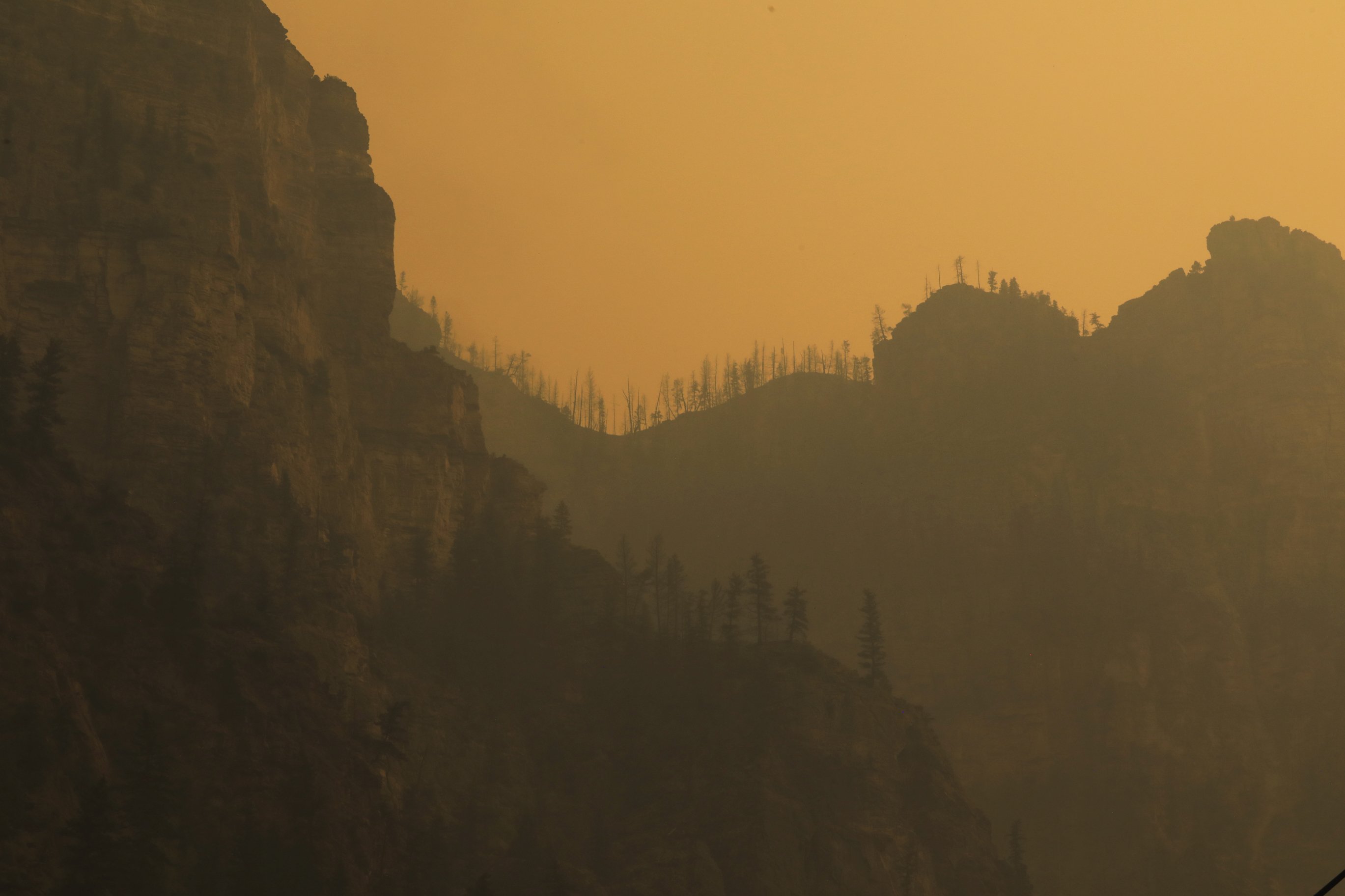 Pine Gulch fire grows to second-largest in Colorado history | AP News