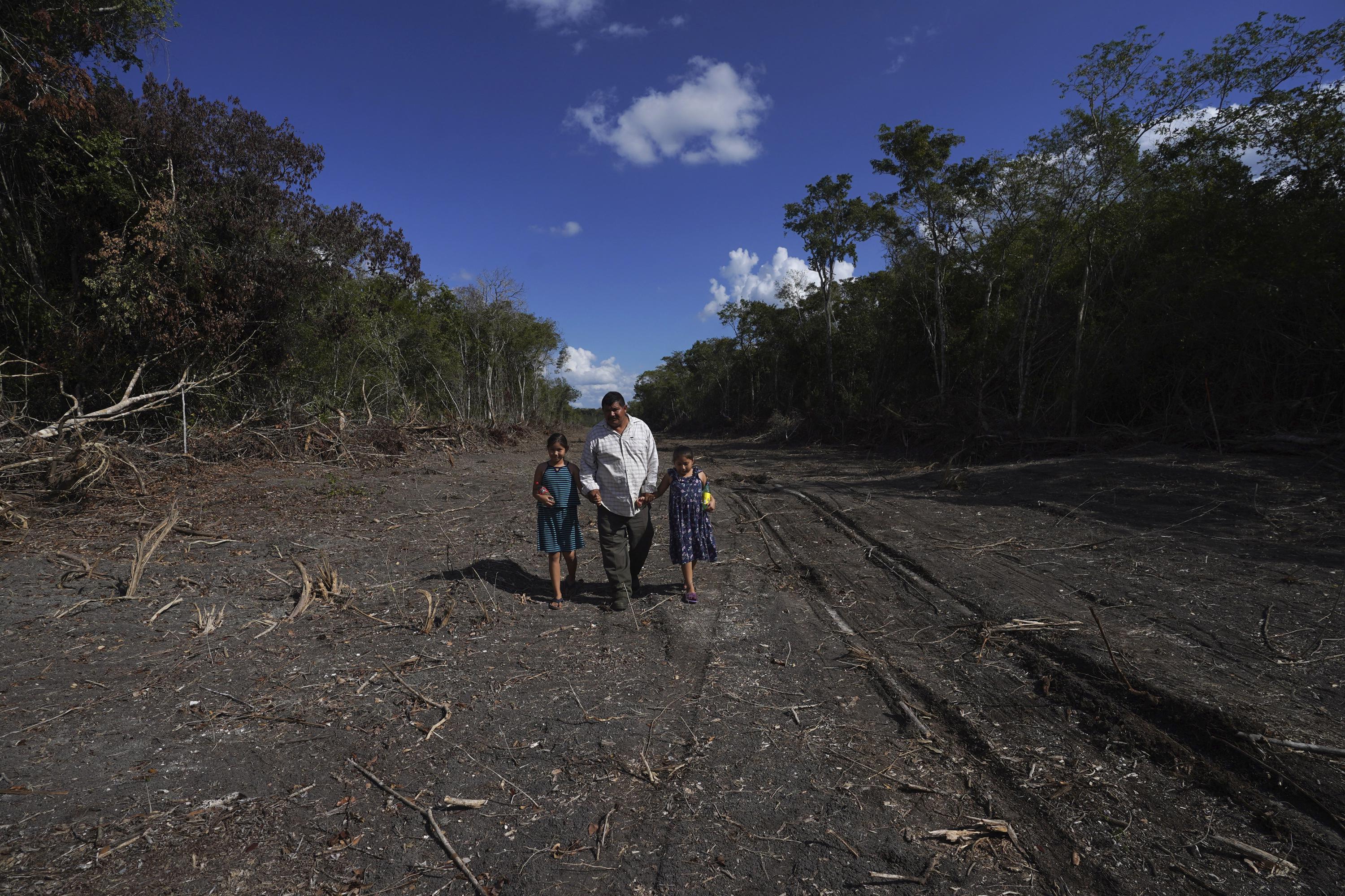 Worries abound that Mexico’s Maya Train will destroy jungle | AP News