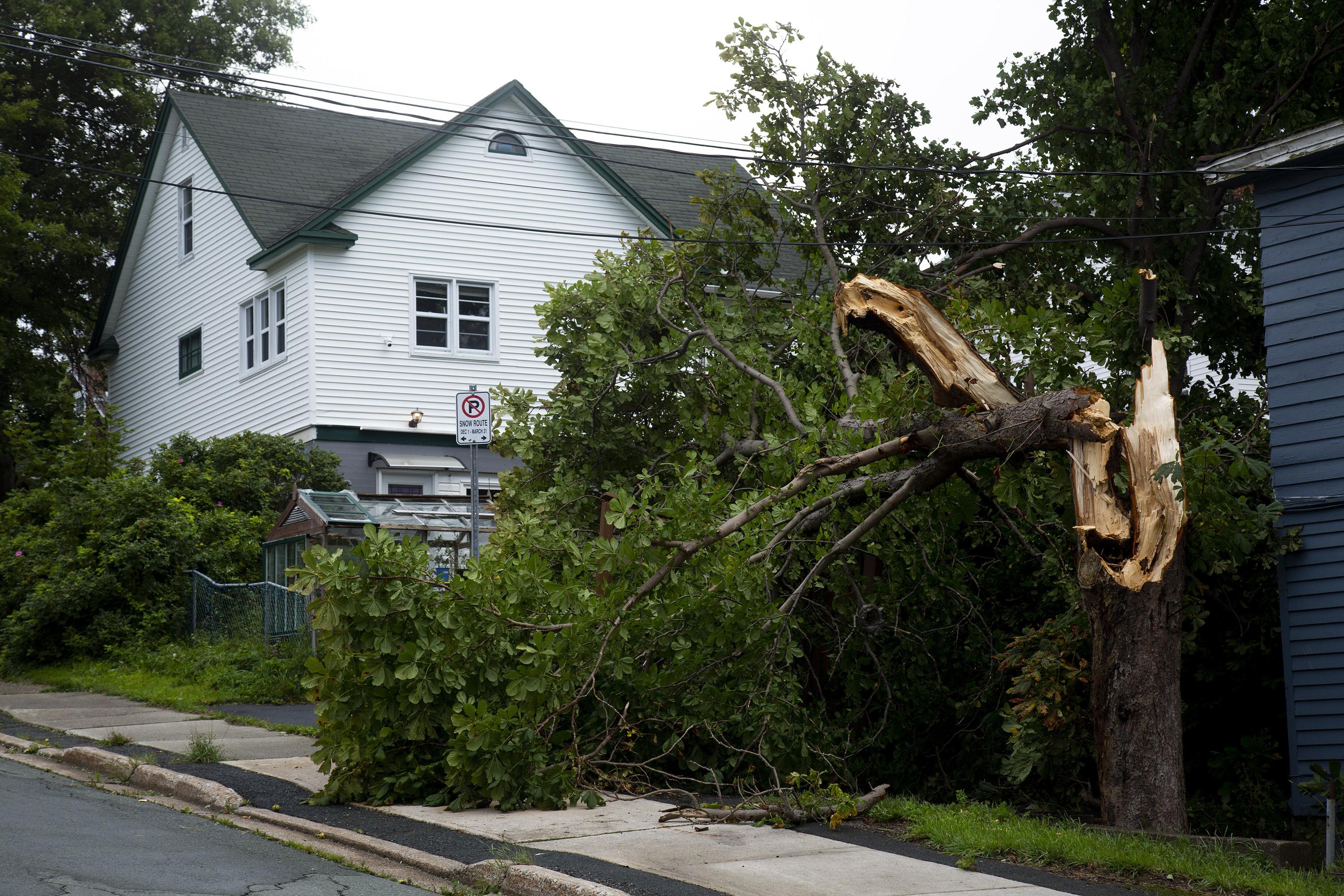 Hurricane Larry wipes out power, trees in Newfoundland | AP News