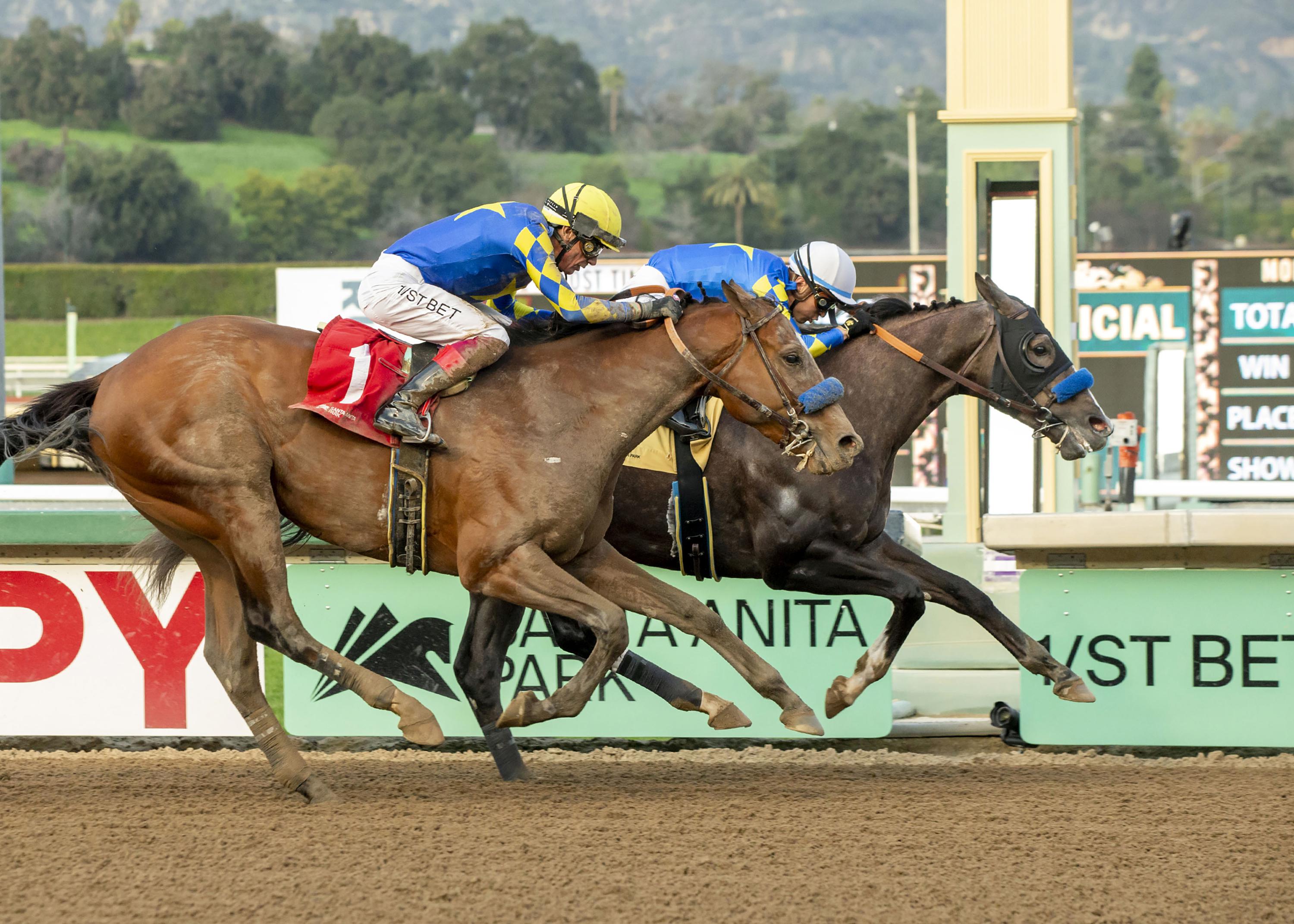 16-1 shot Reincarnate wins Sham Stakes for Baffert | AP News