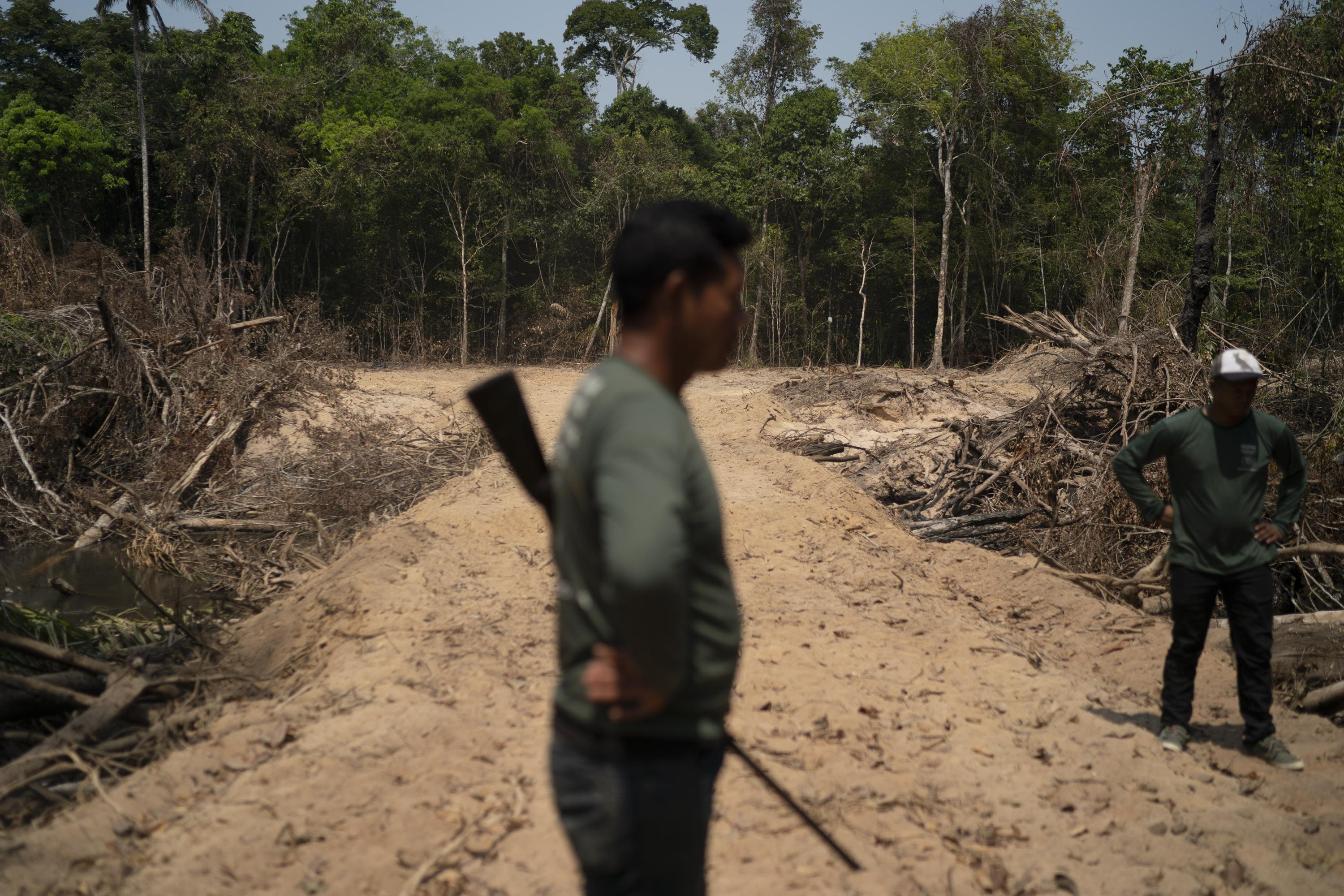 Report: Brazil authorities pay no mind to deforestation | AP News
