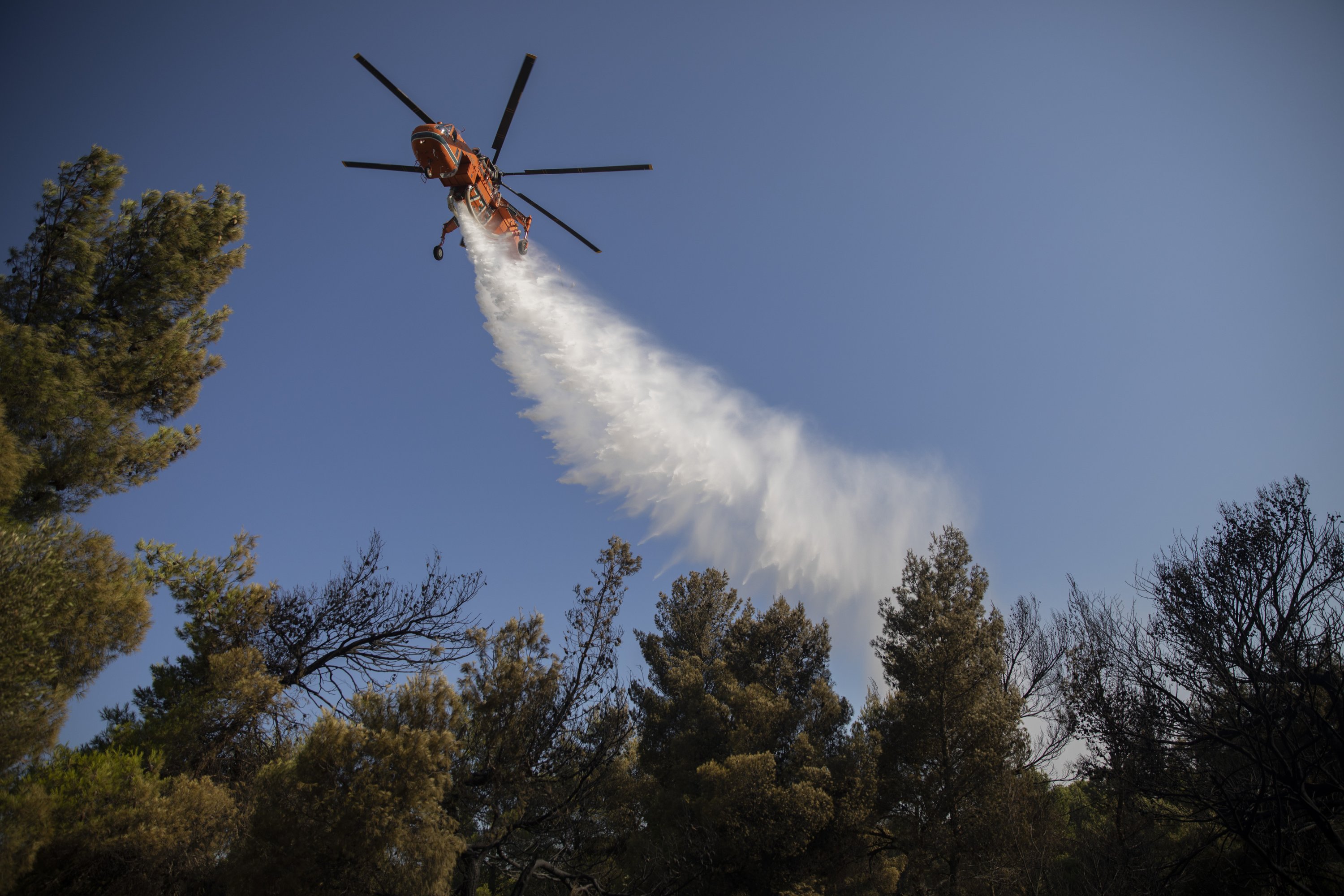 Grecia contiene incendio forestal cerca de Atenas | AP News