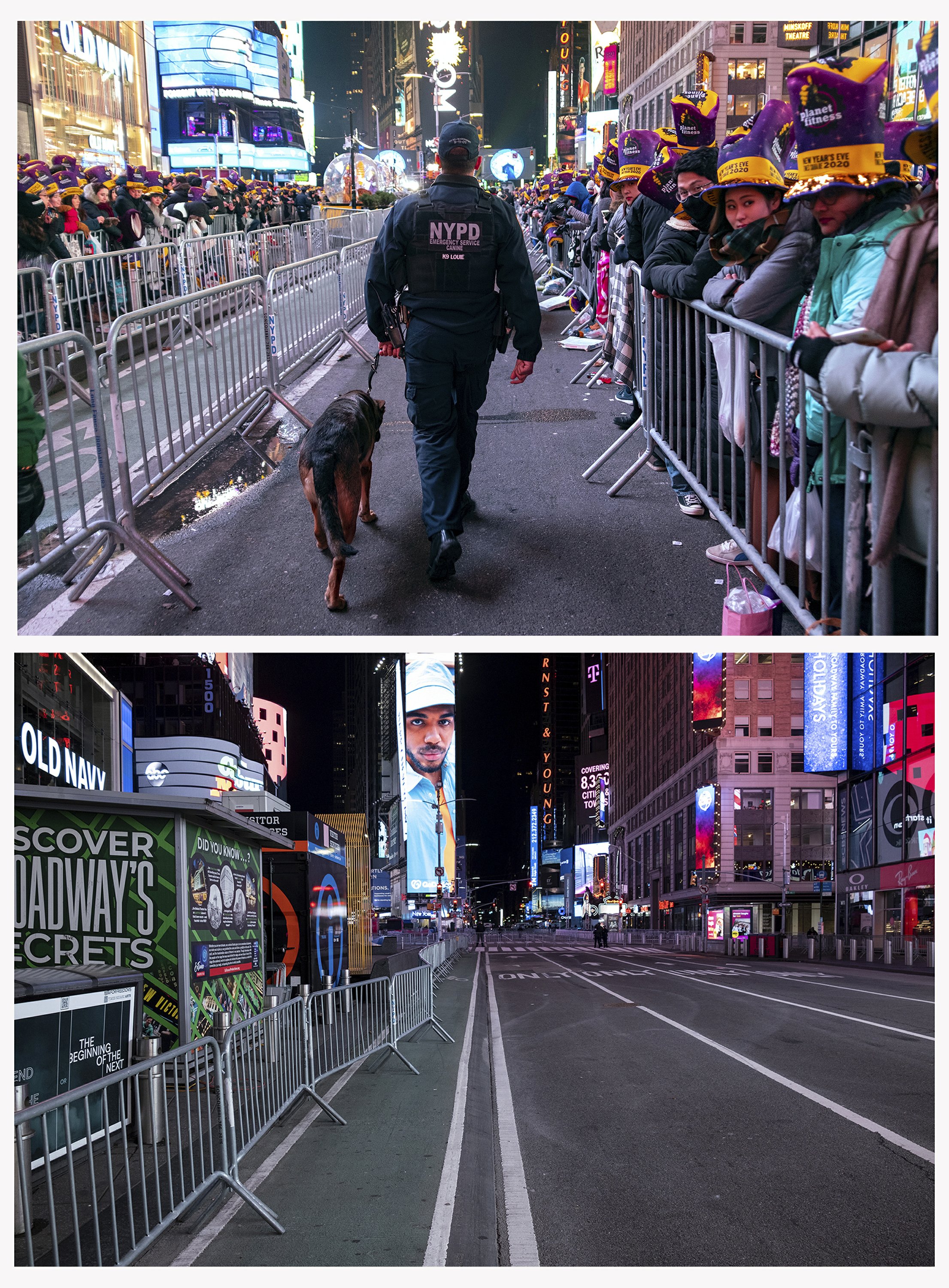 Are Dogs Allowed In Times Square