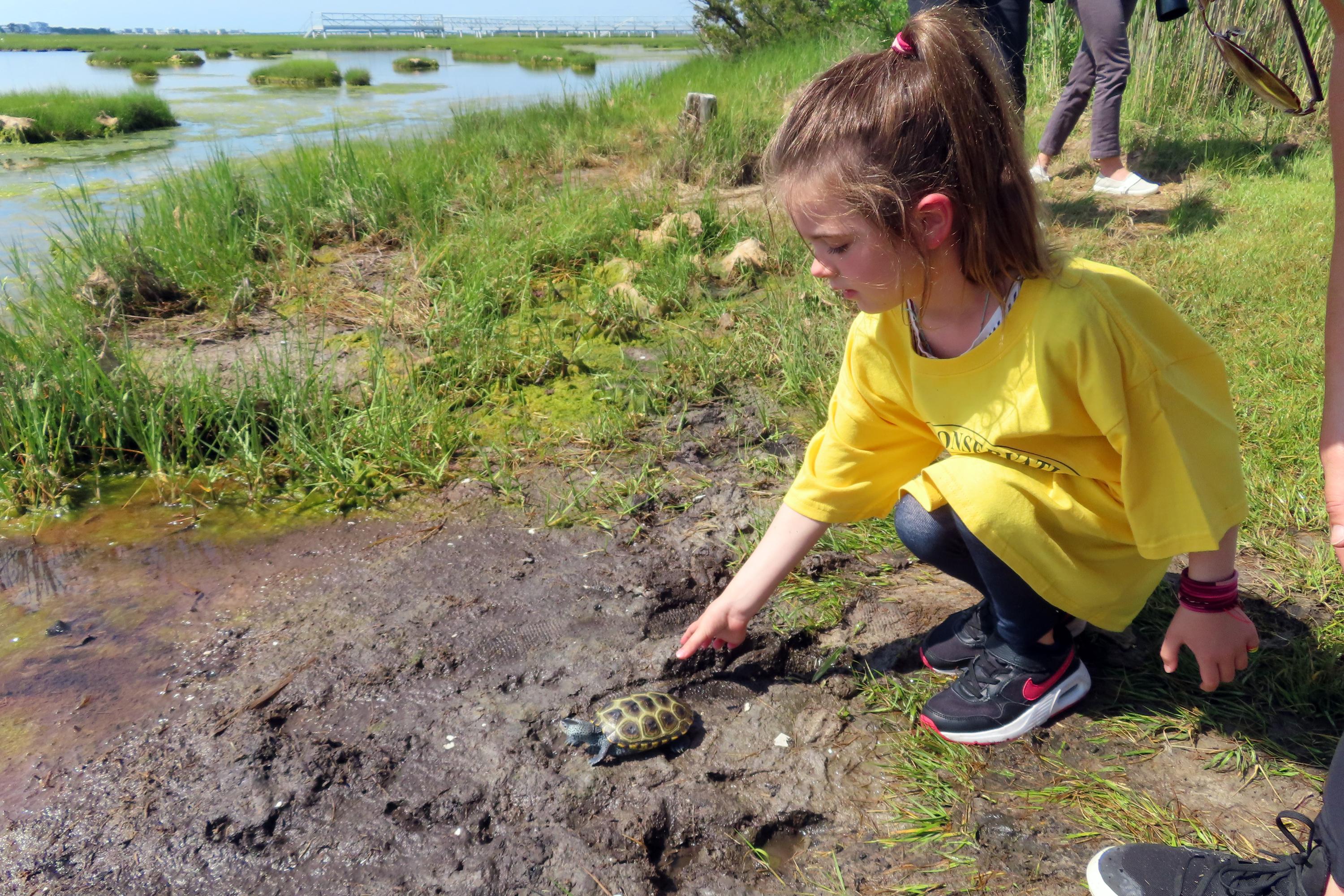 Happy together: Orphaned turtles and kids who set them free | AP News