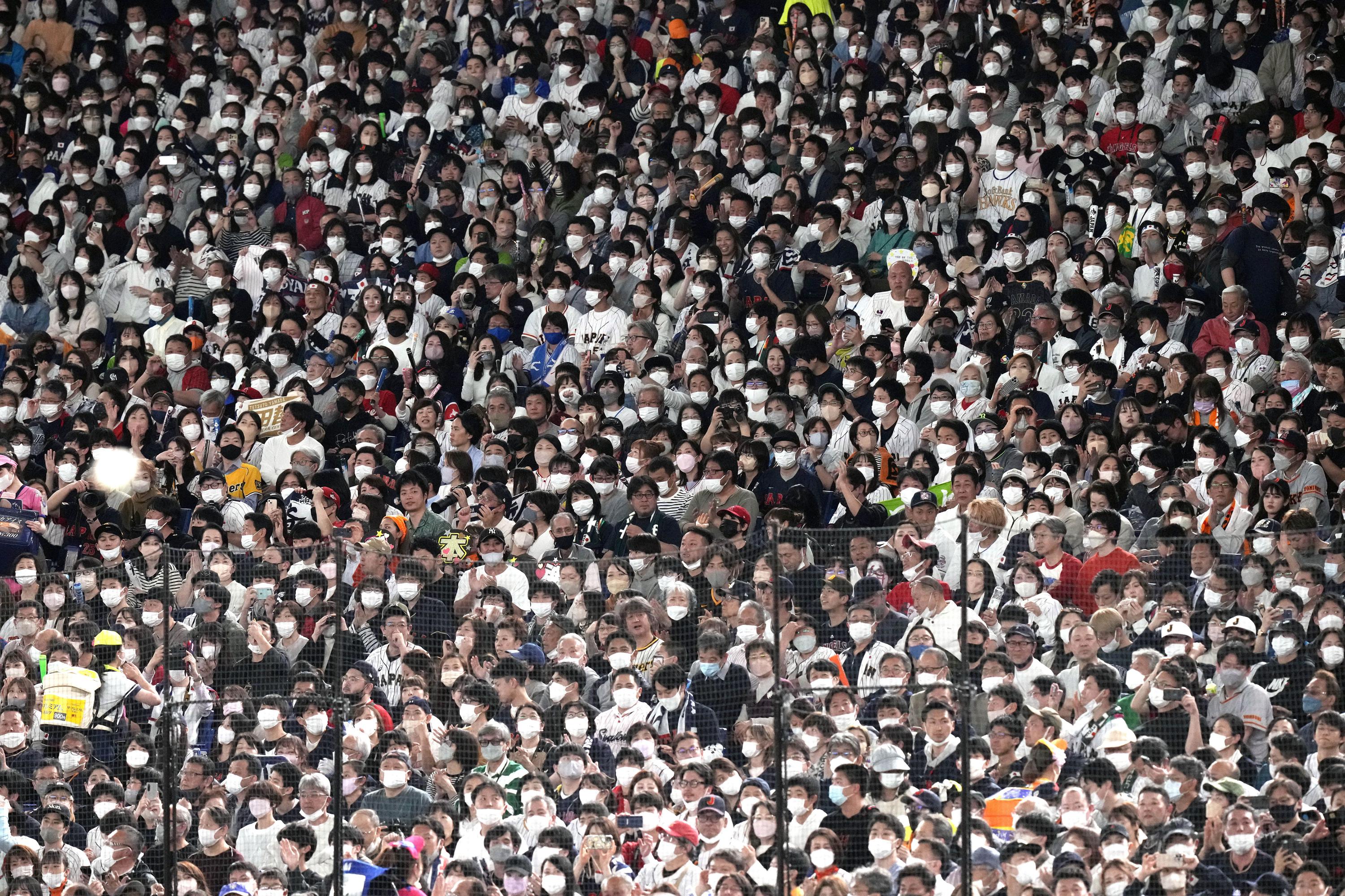 No masks required, but Japanese fans still wear them at WBC | AP News