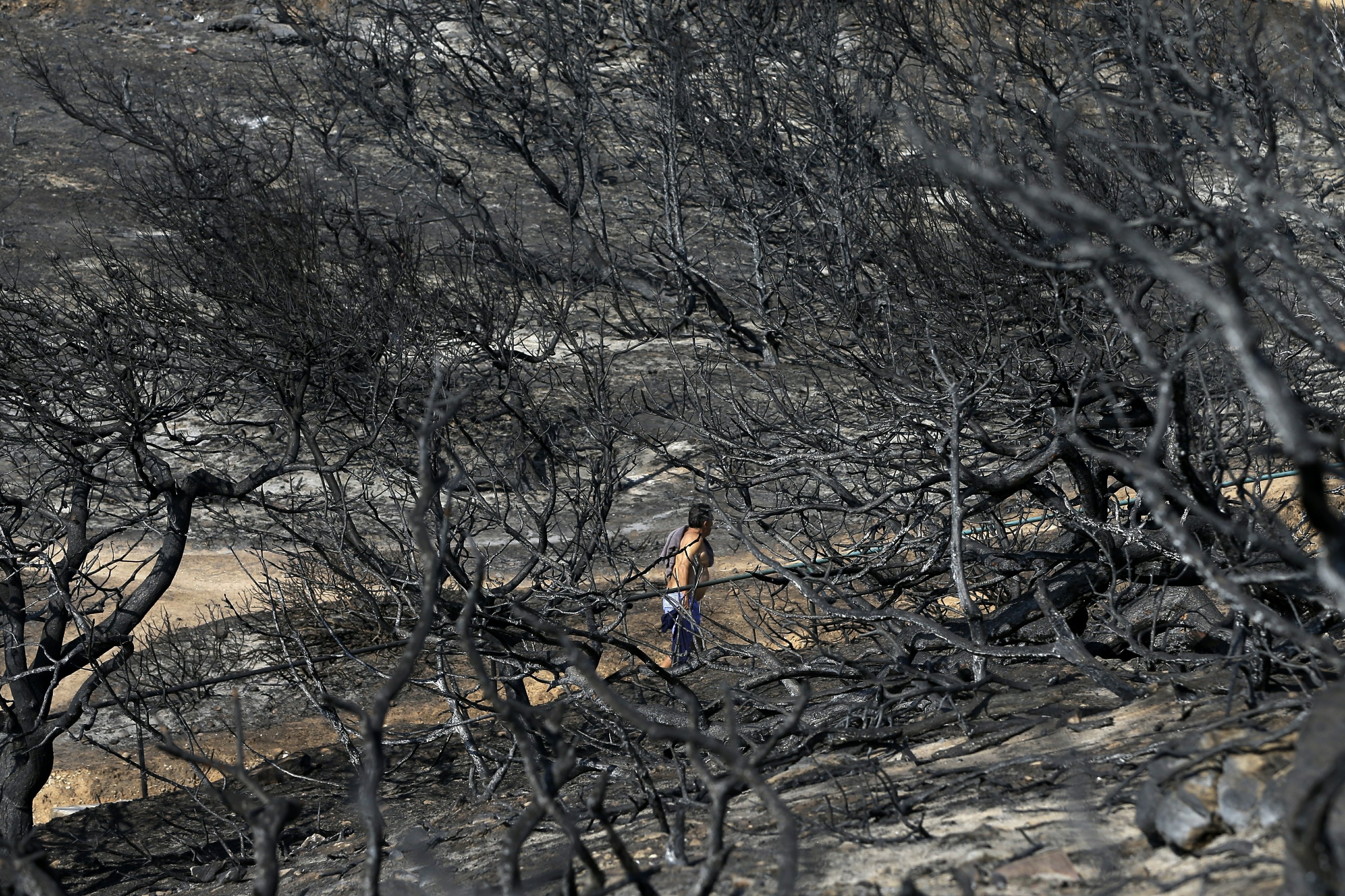 AP Explains: Deadly mega-fires bring new challenge to Europe | AP News