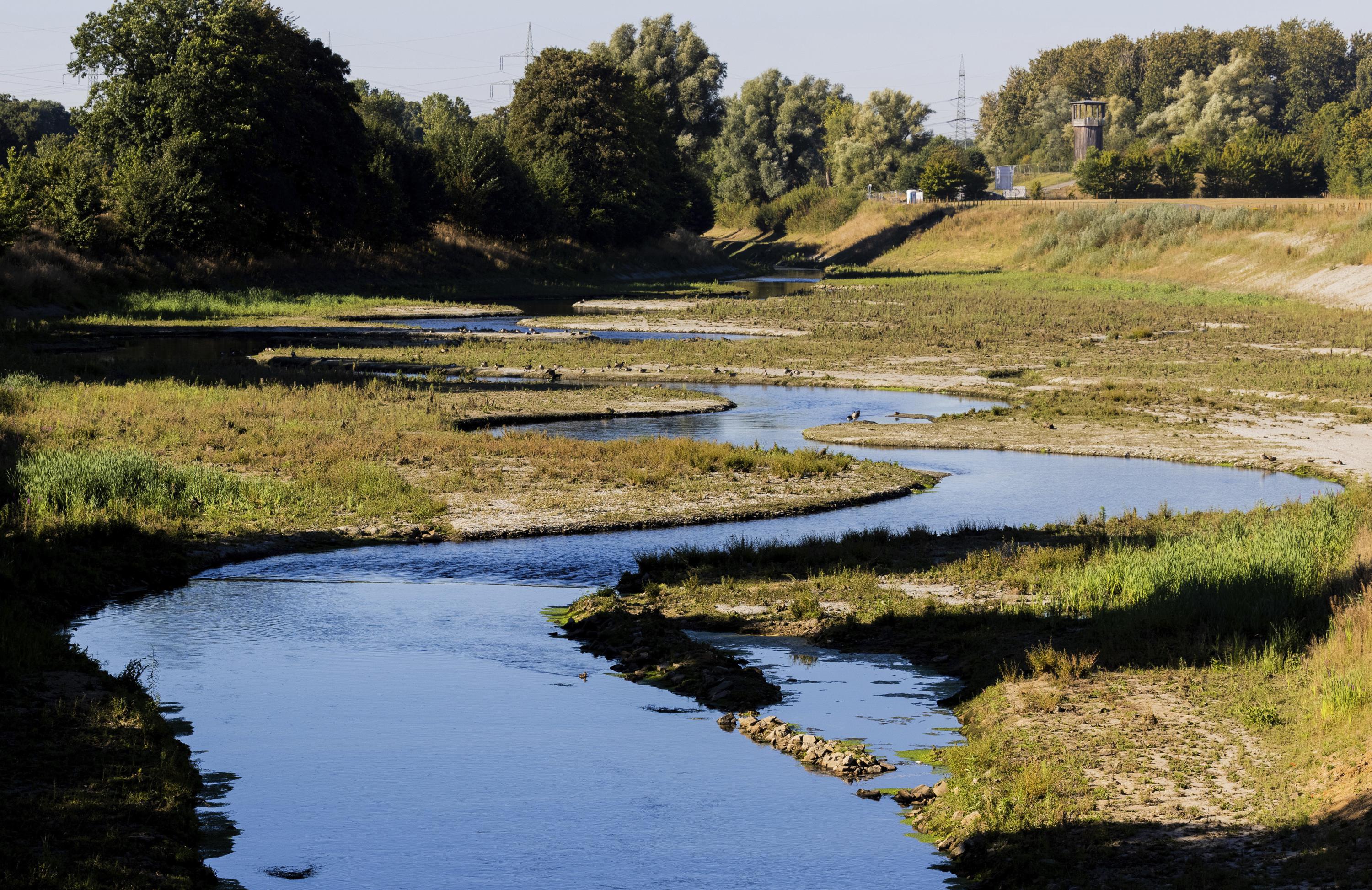 Germany celebrates revival of river once called 'open sewer' | AP News