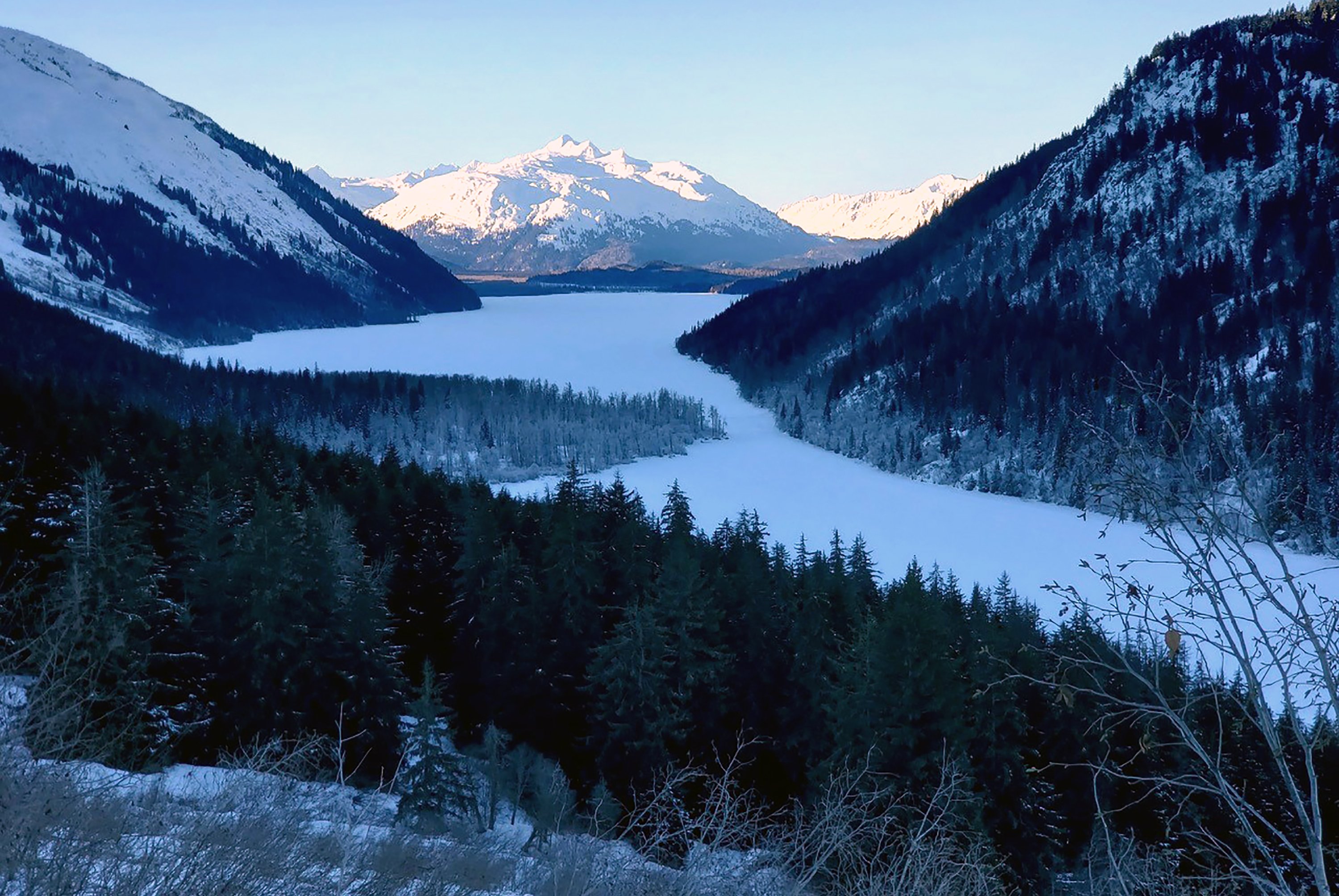 Alaska woman using outhouse attacked by bear, from below | AP News