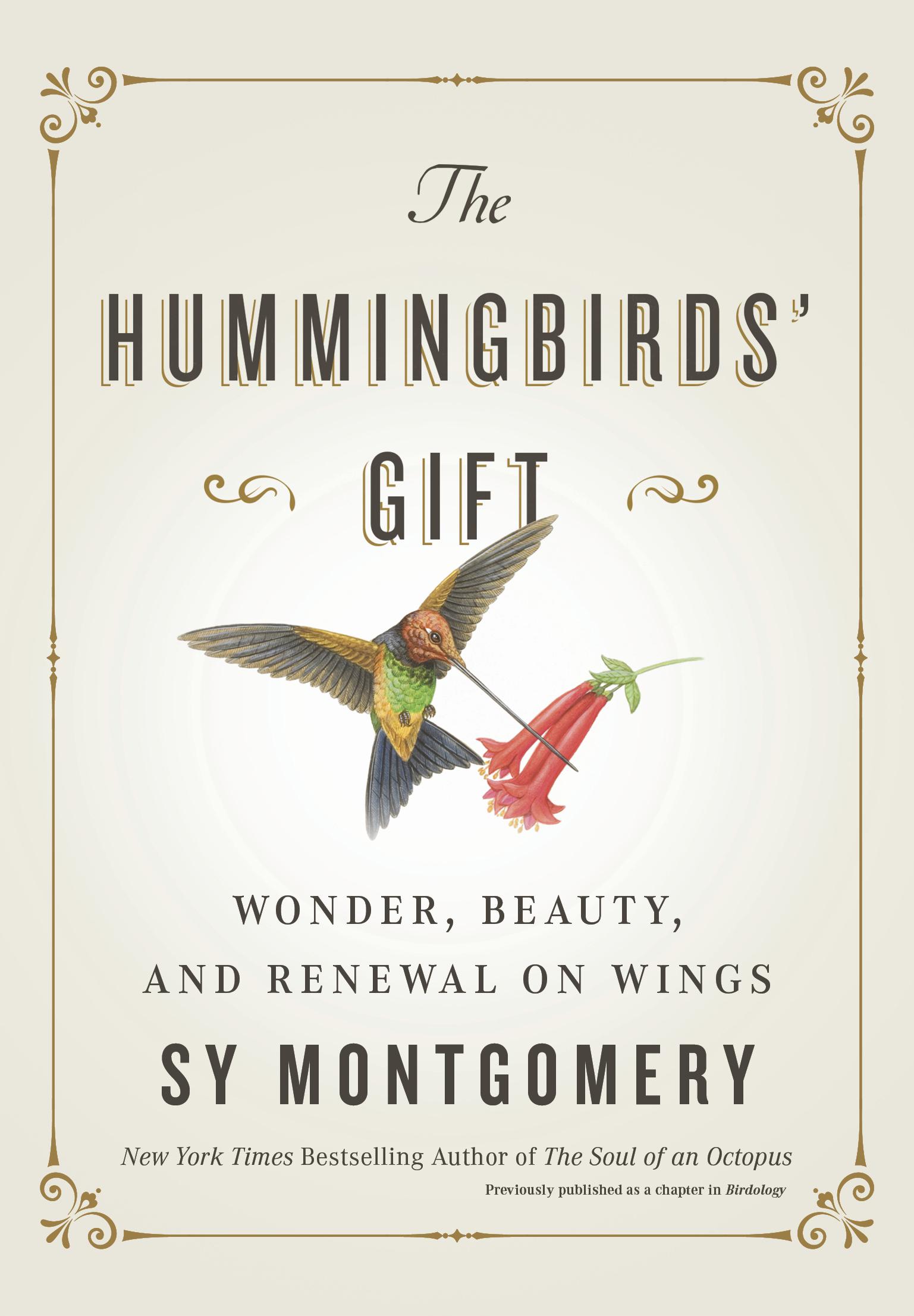 Review: A hummingbird book that's like them — zippy and fun | AP News