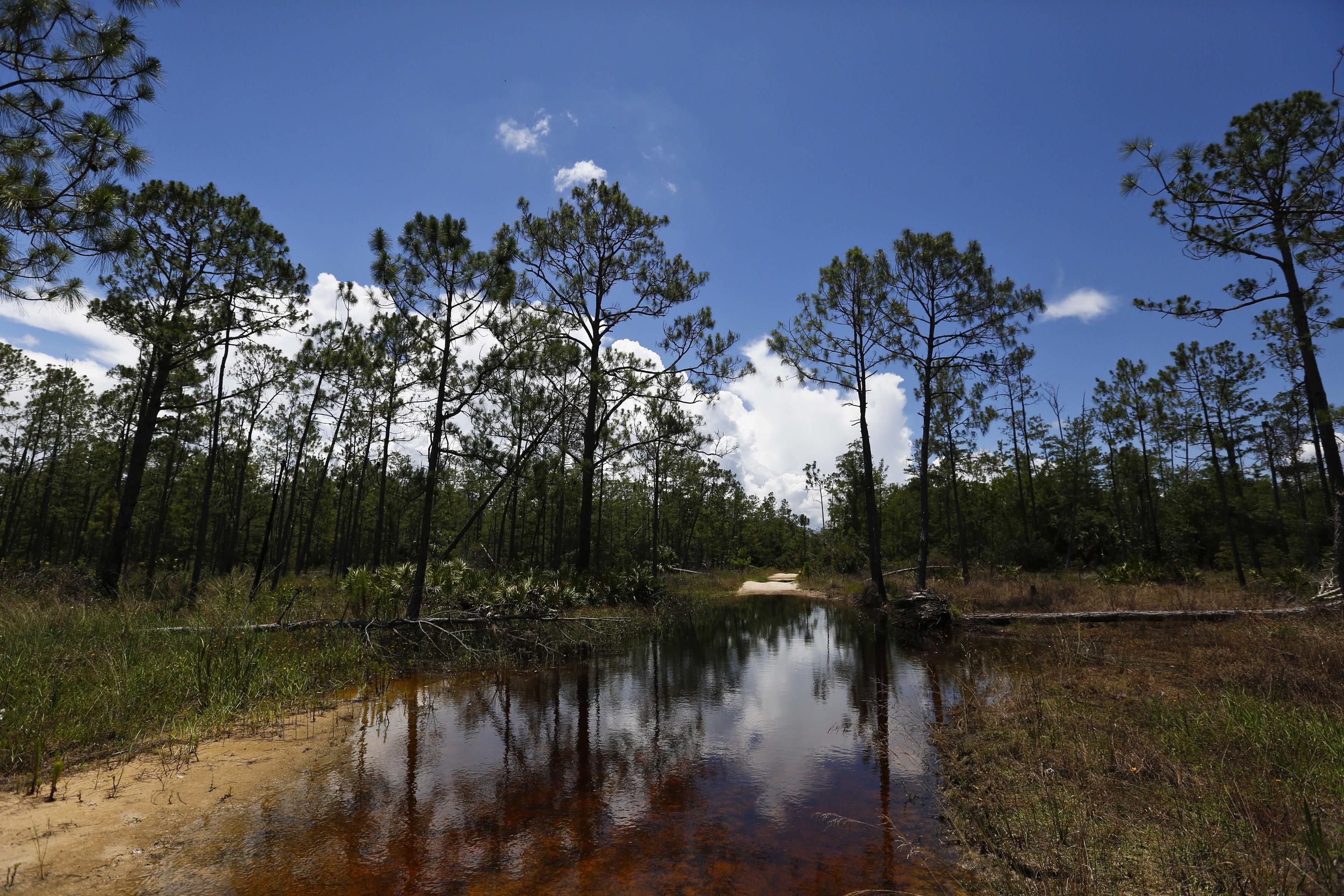 Biden administration acts to restore clean-water safeguards | AP News