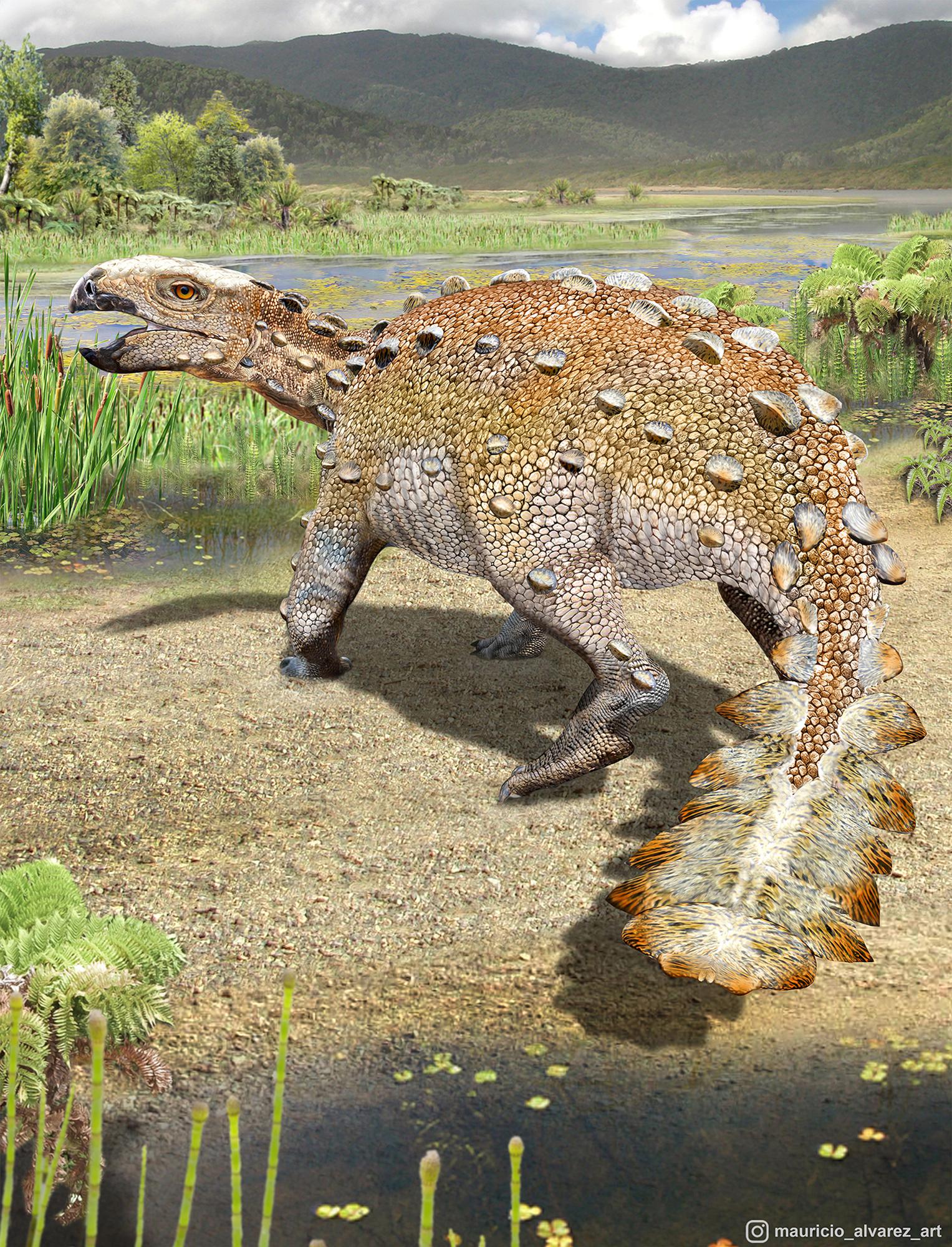 New dinosaur species from Chile had a unique slashing tail | AP News