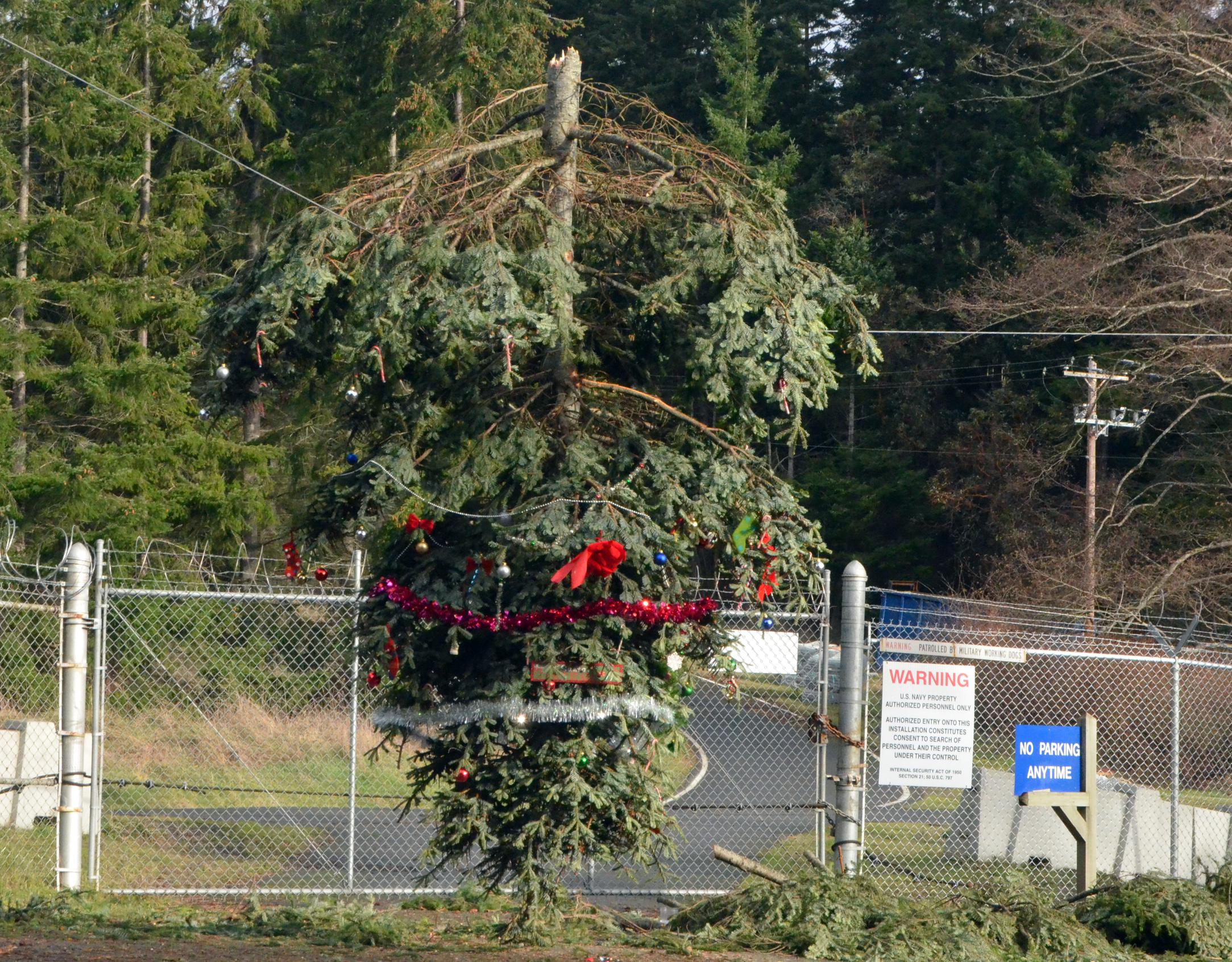 Broken treetop hanging on wire gets holiday decor | AP News