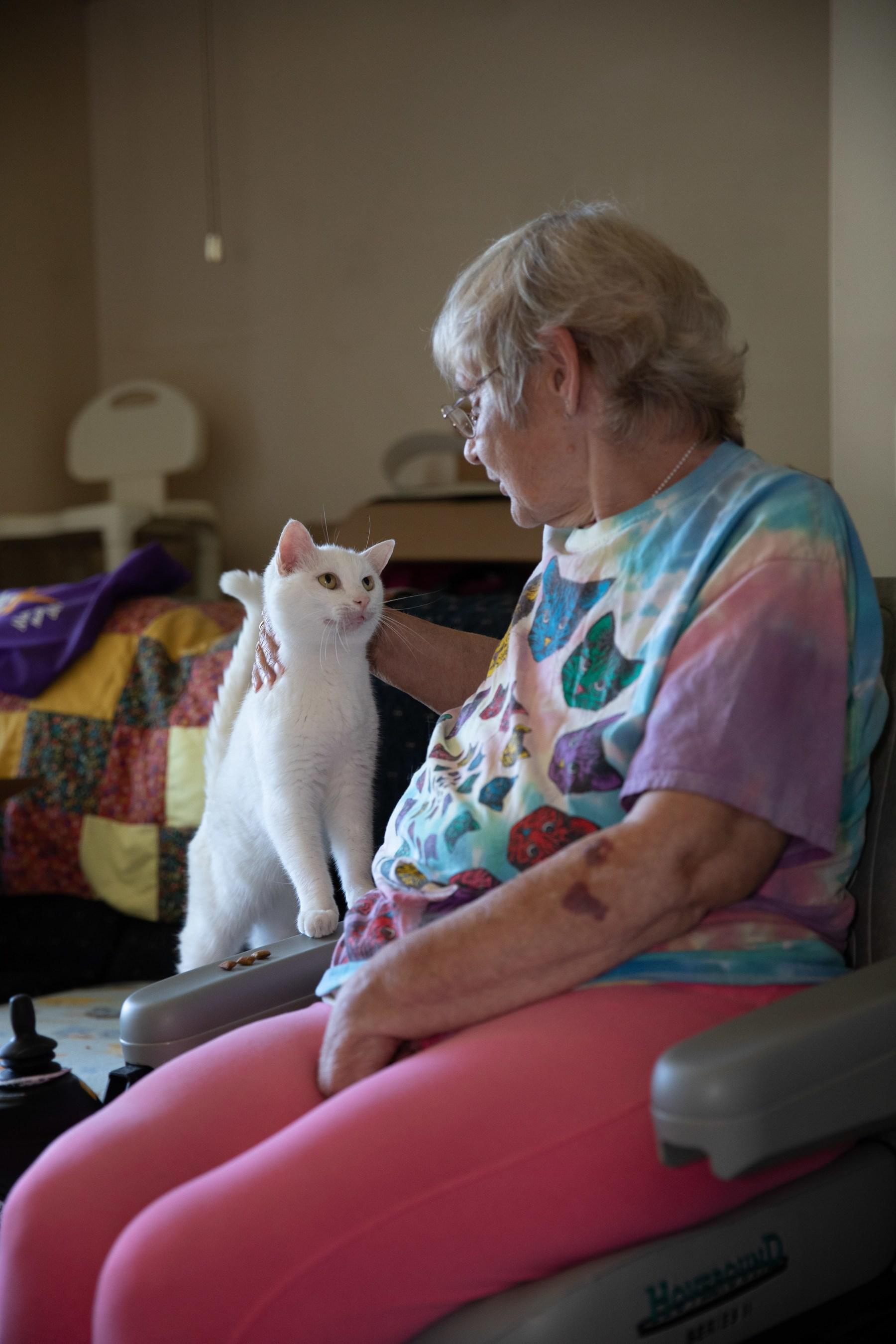 PetSmart Charities Grants 500 000 To Meals On Wheels America To Span petsmart-charities-grants-500-000-to-meals-on-wheels-america-to-span