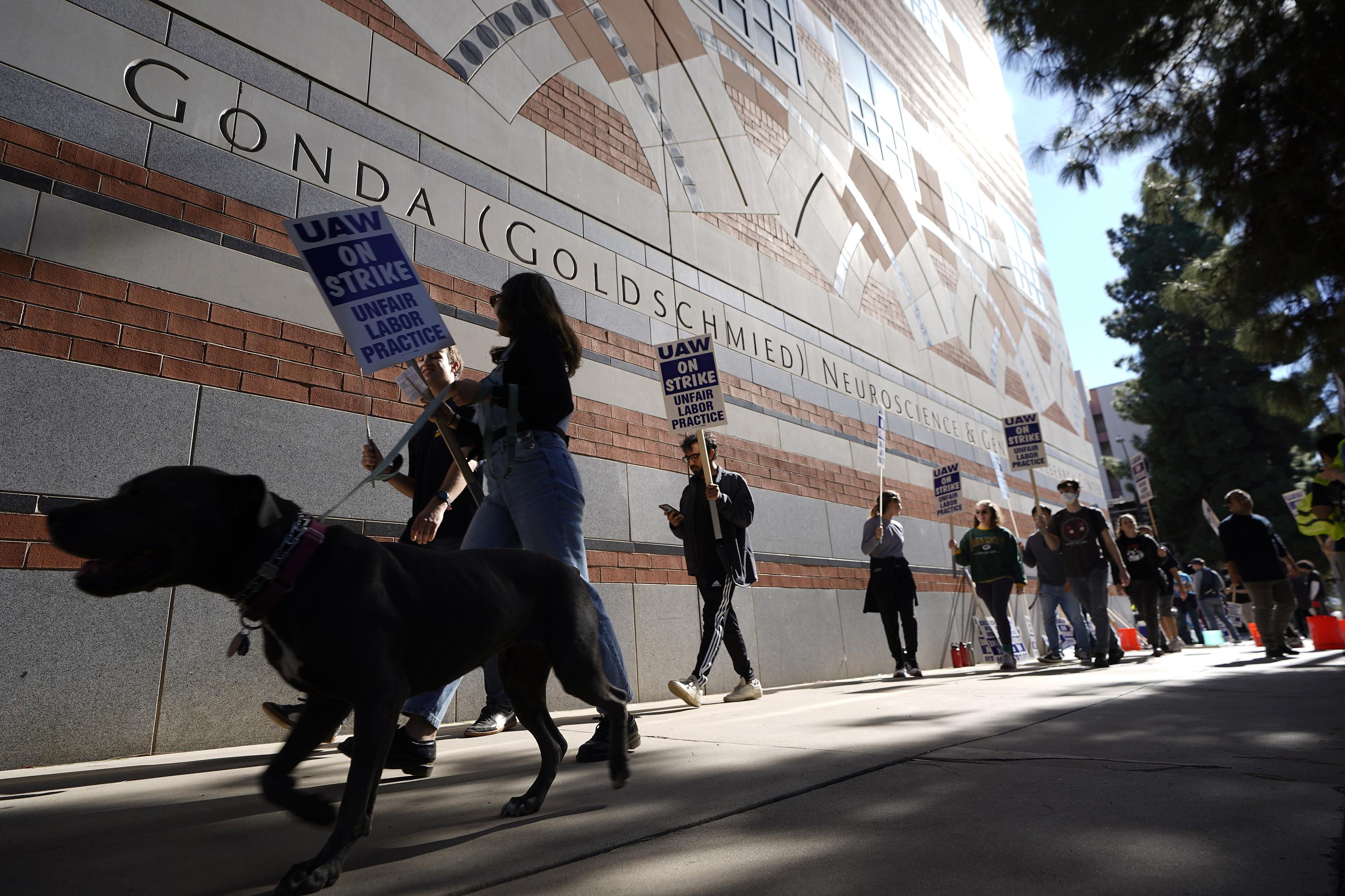 Day 2 of academic workers strike at University of California | AP News