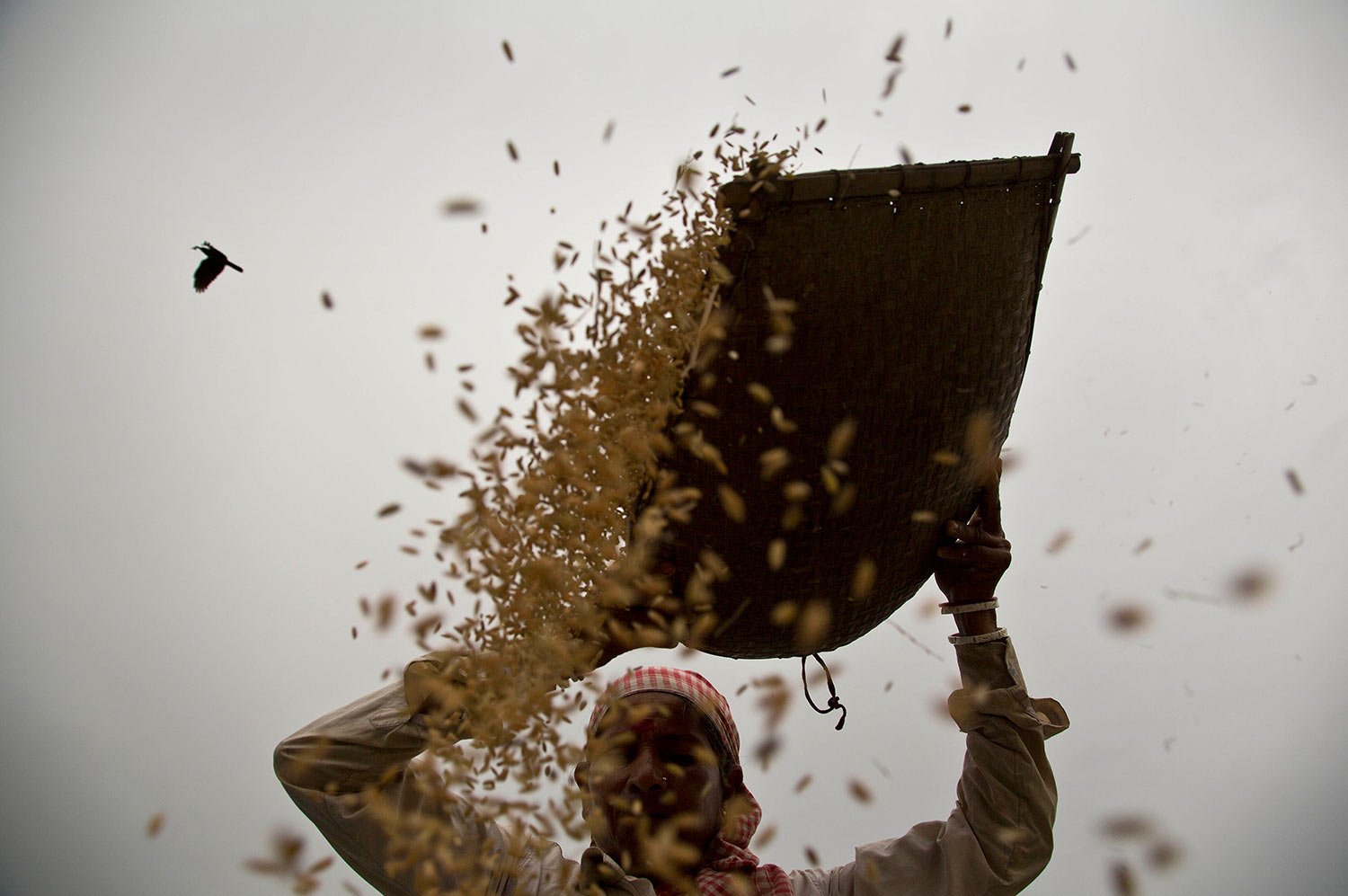 A world of surprising splendor, captured by AP photographers | AP News